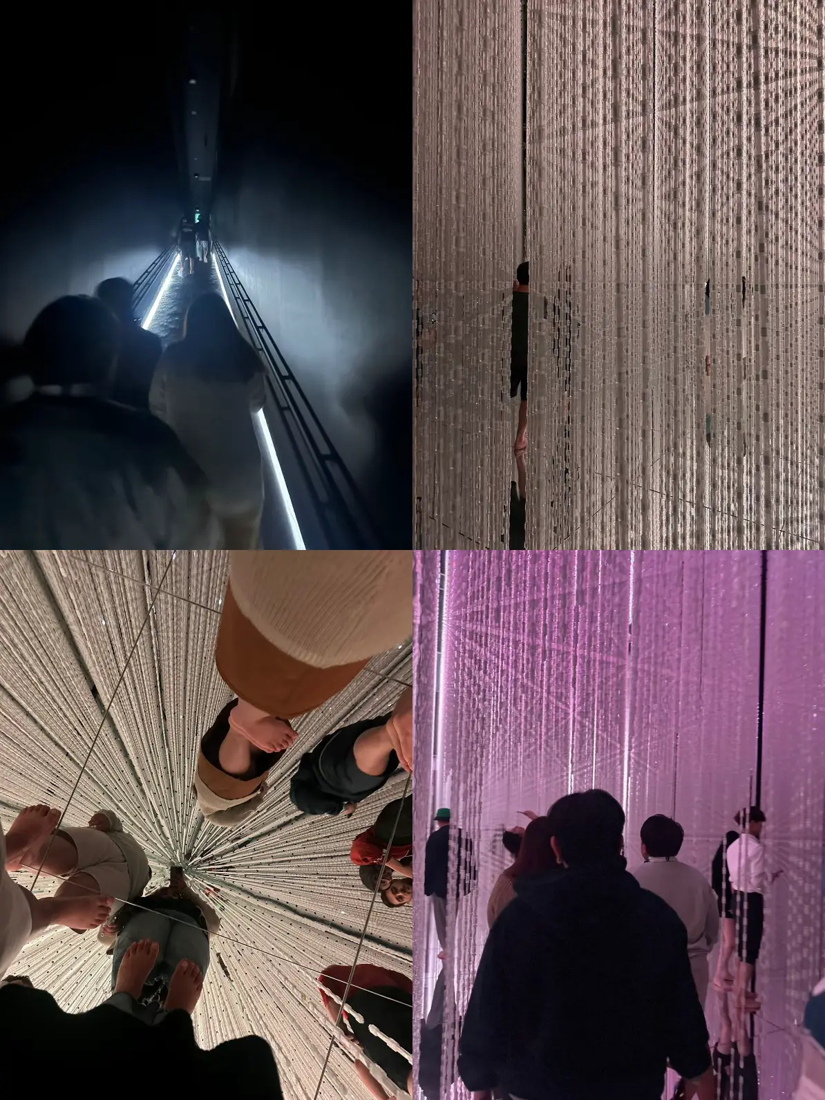 teamLab Planet Tokyo ไปดีมั้ย คุ้มรึเปล่า 🌸 | แกลเลอรีที่โพสต์โดย ...