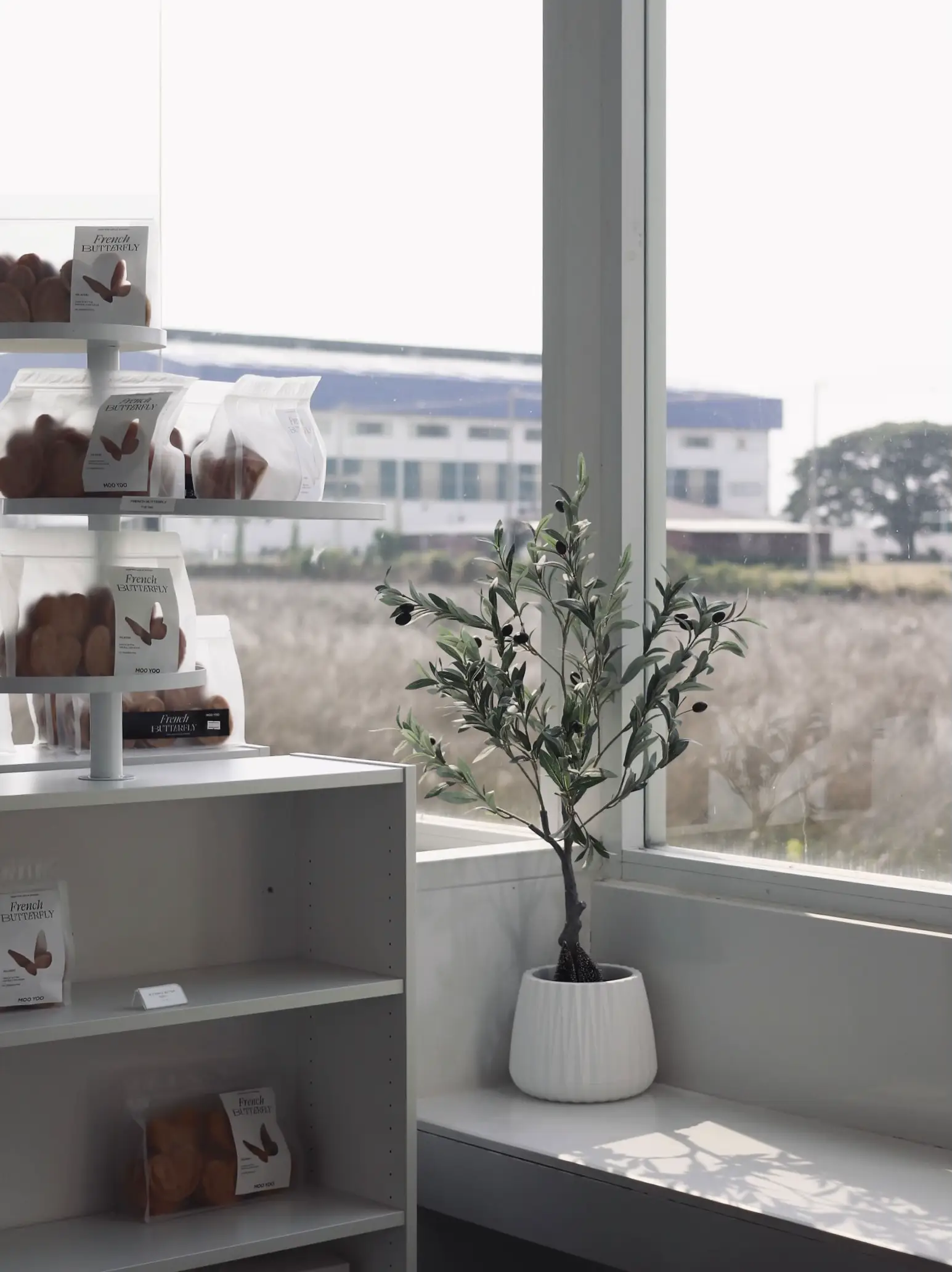 MOO YOO CAFE (Flywheel) | Gallery posted by NNATT | Lemon8