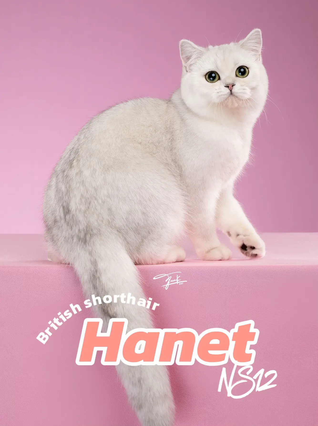 Hanet | แกลเลอรีที่โพสต์โดย Merci Patisse | Lemon8