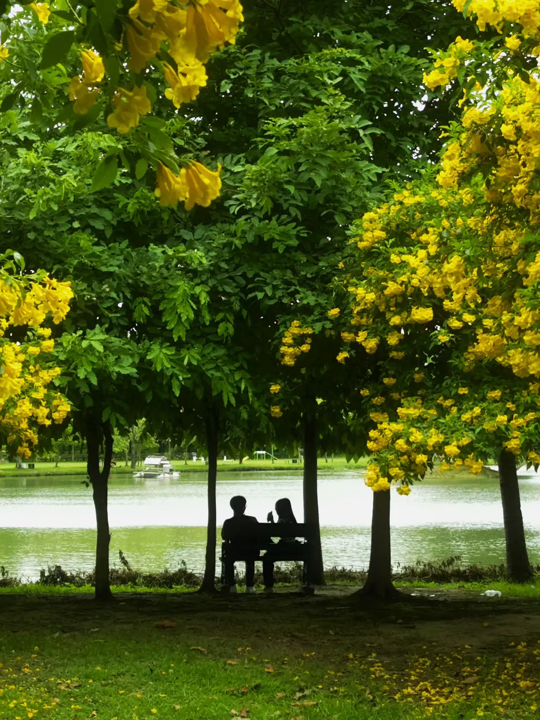 สวนรถไฟ (ROT FAI PARK) —— | แกลเลอรีที่โพสต์โดย only28p | Lemon8