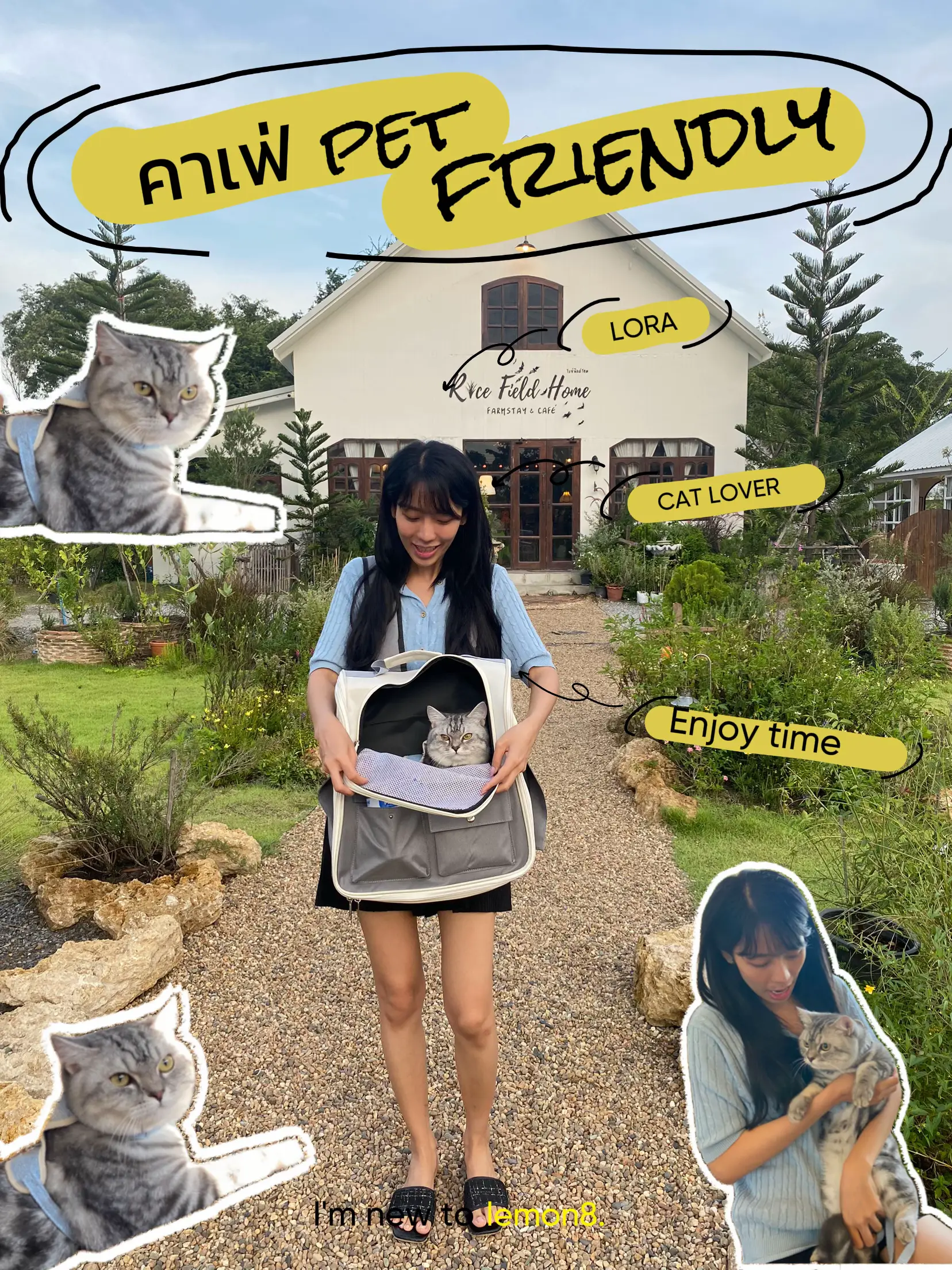 พาเจ้าเหมียว เที่ยวคาเฟ่ pet friendly สระบุรี ep.2 | แกลเลอรีที่โพสต์โดย Magazine | Lemon8