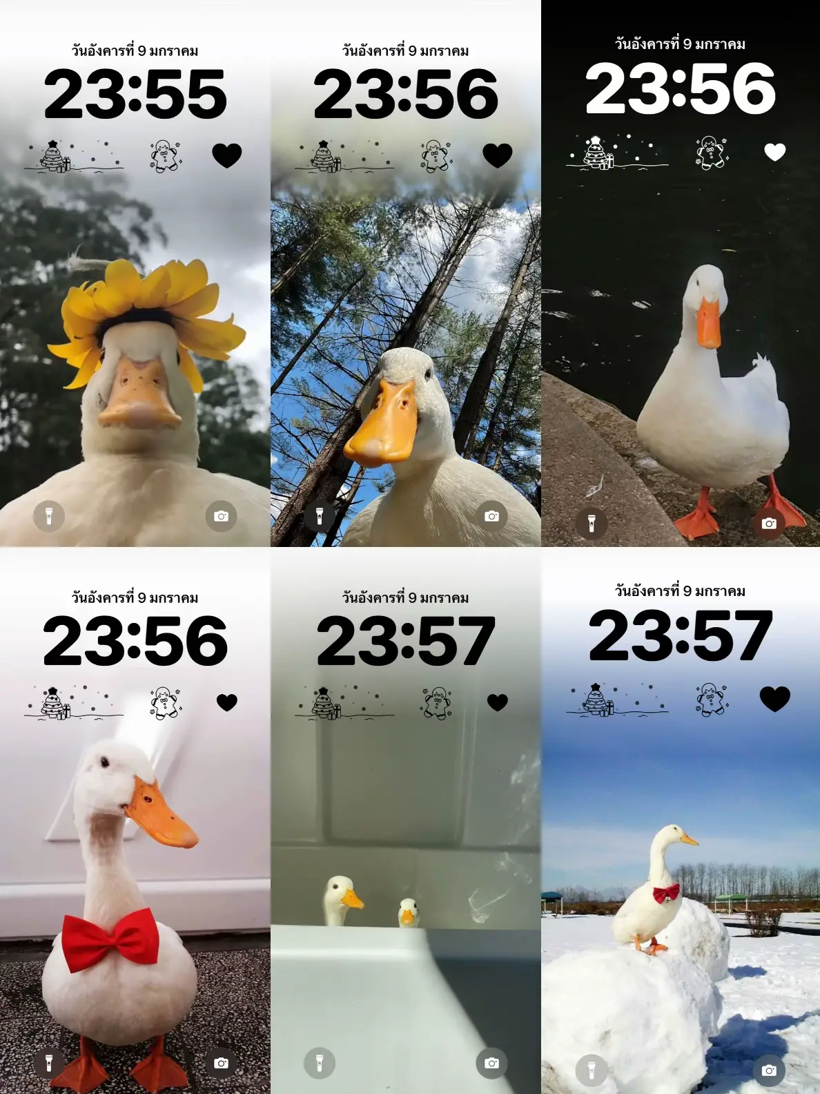 แจกฟรี ! Cute Wallpapers น่ารักๆ | แกลเลอรีที่โพสต์โดย Motto Omuto | Lemon8