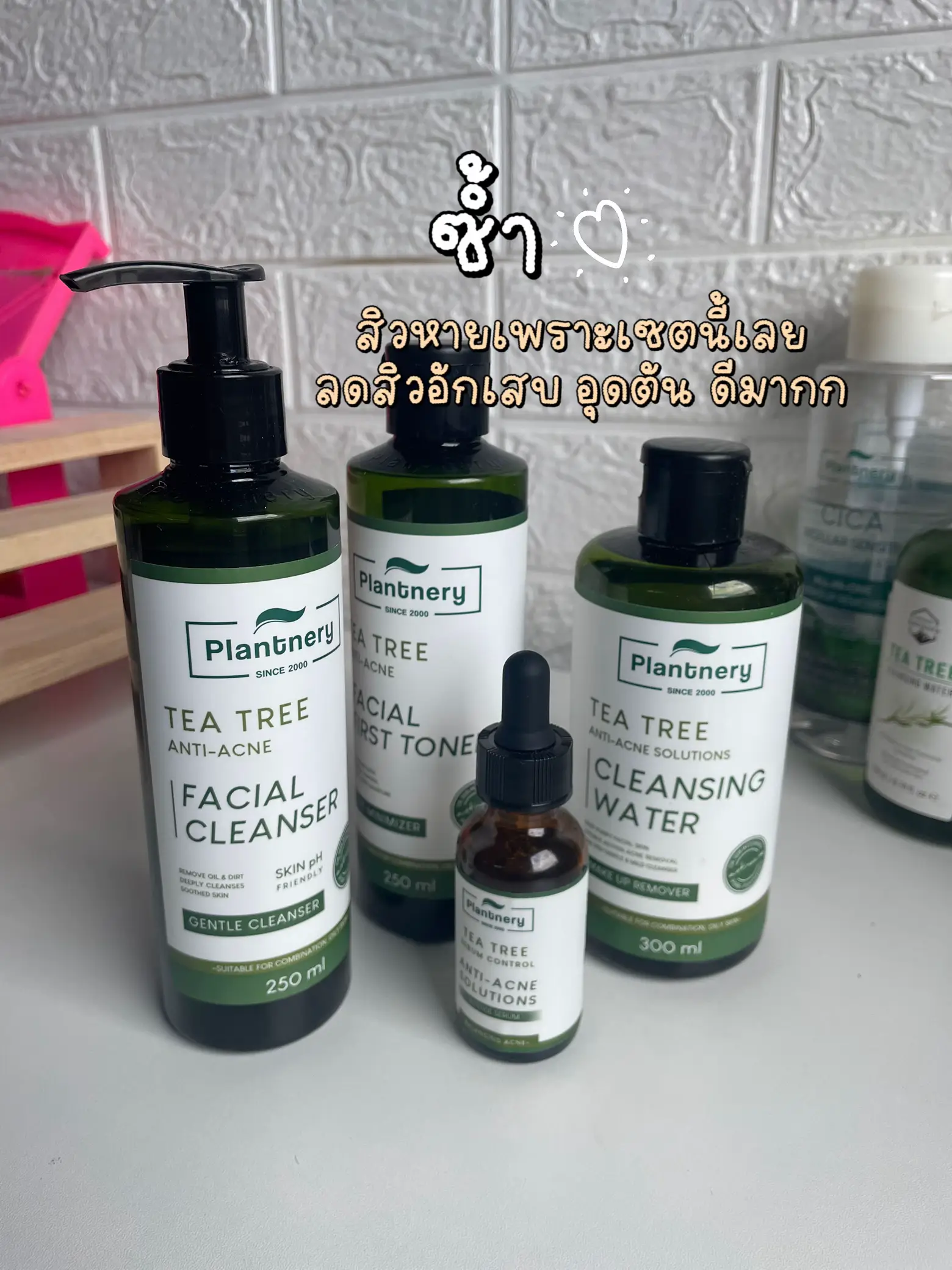 plantnery หรือ naturist แต่ละสูตร - การค้นหาใน Lemon8