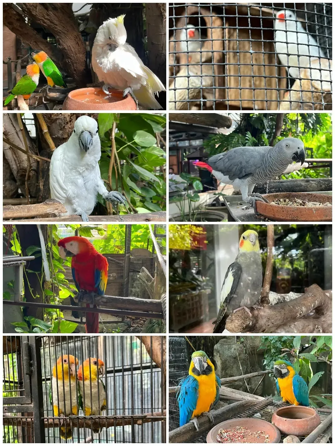 นั่งน้องนมเย็นไปเที่ยว Mini Zoo กันค่ะ | แกลเลอรีที่โพสต์โดย PJ _ KK 🥳 | Lemon8