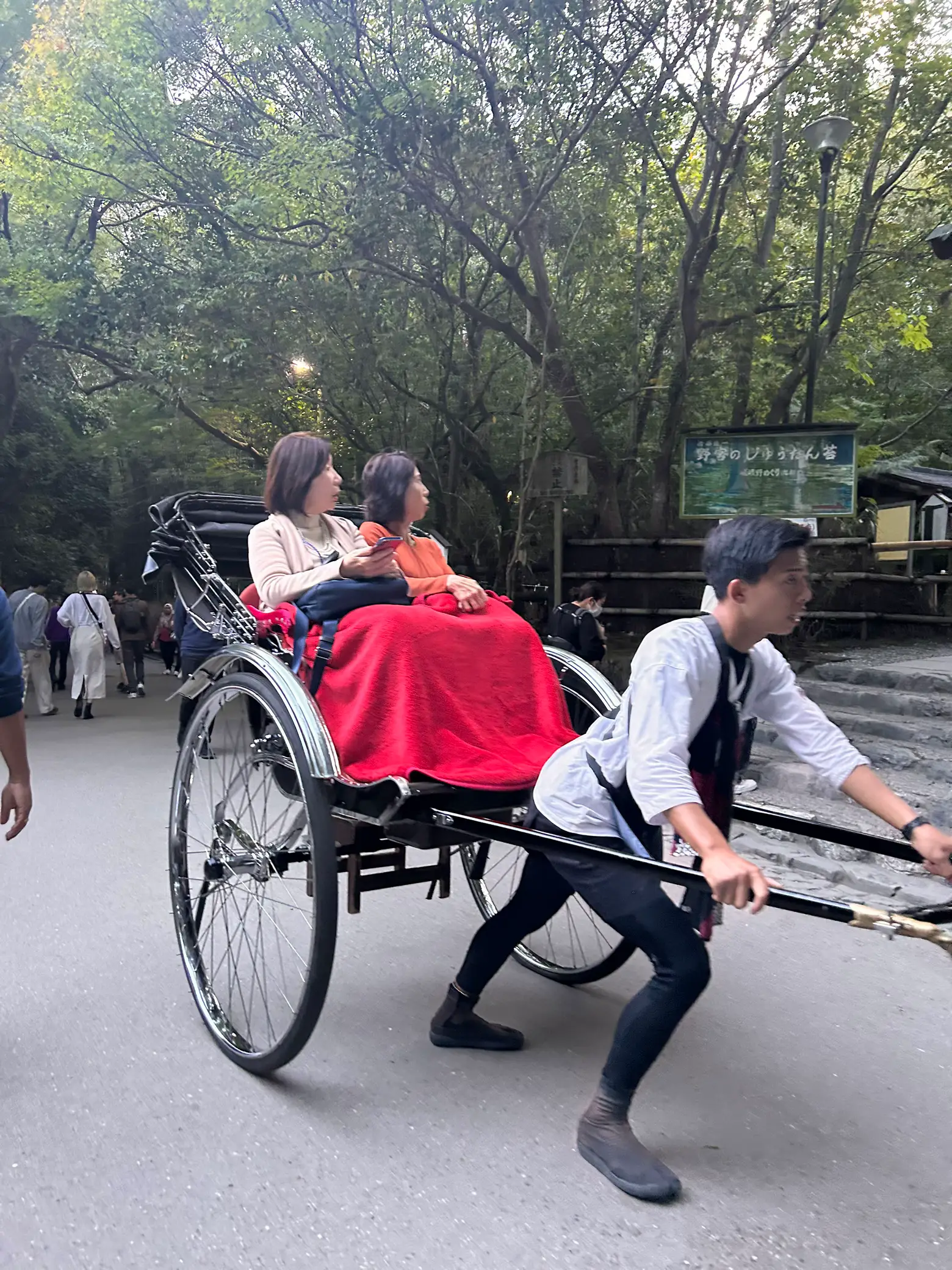 Arashiyama2023 oct. | แกลเลอรีที่โพสต์โดย Im jessie | Lemon8