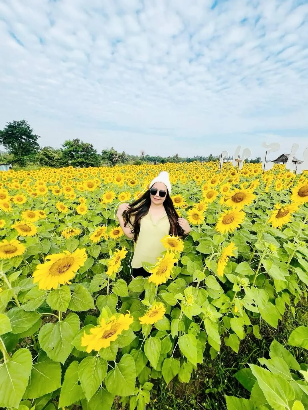 ไร่คีรีบูรพาชลบุรี | แกลเลอรีที่โพสต์โดย Lifestyle@Orasa | Lemon8