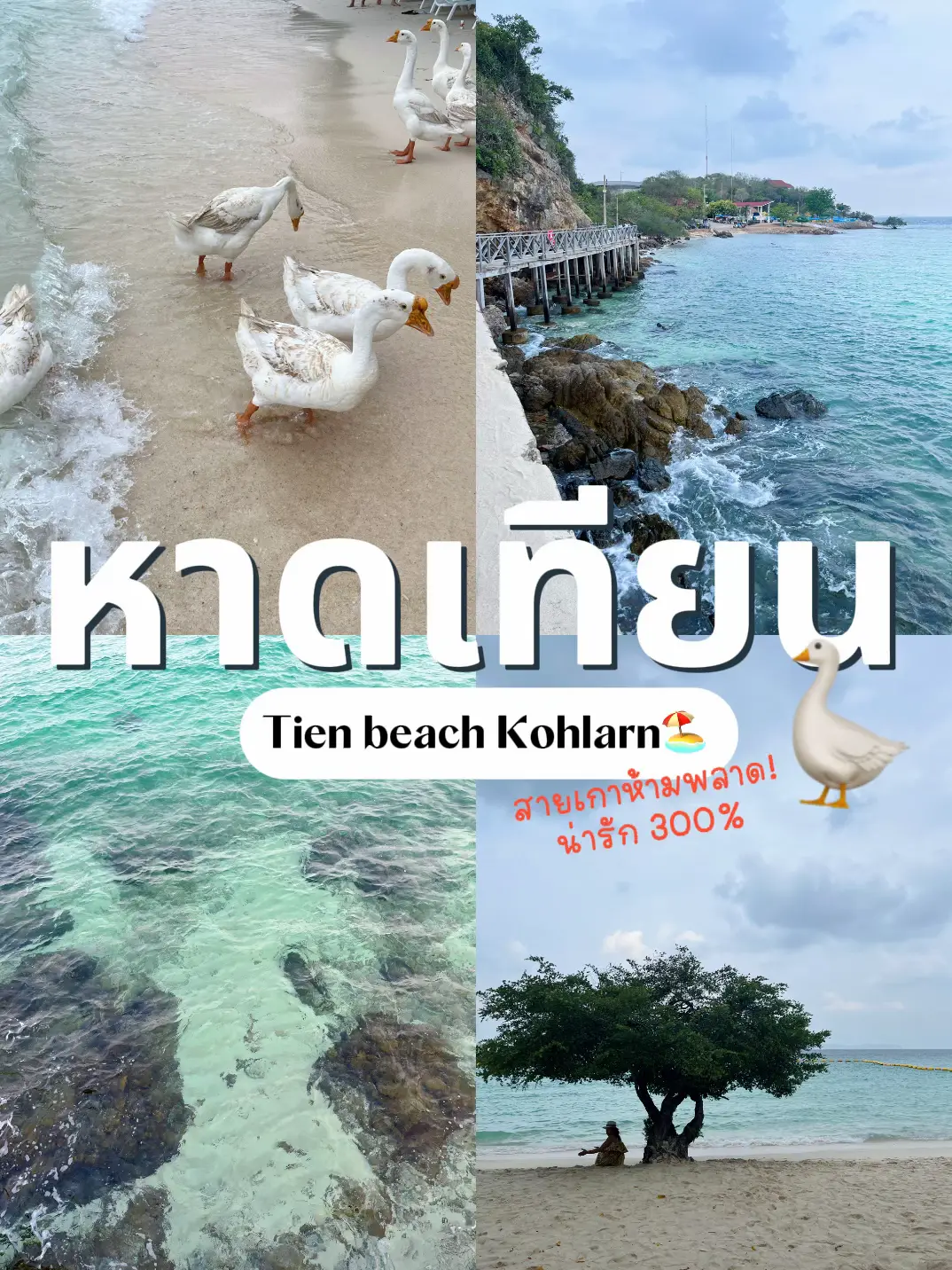 หาดเทียน เกาะล้าน | แกลเลอรีที่โพสต์โดย aumnuntita 🥑🥓 | Lemon8