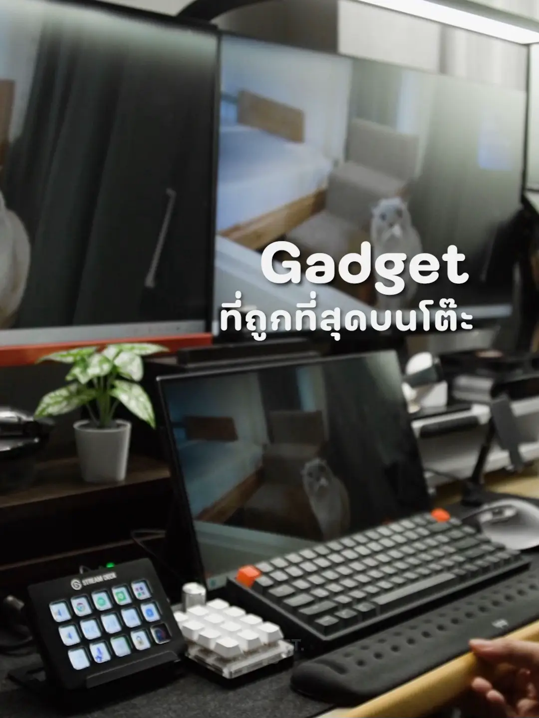 Gadget ที่ถูกที่สุดบนโต๊ะ ที่มีแล้ว ผมขาดไม่ได้จริง ๆ 🕶 | วิดีโอที่เผยแพร่โดย Gadget.Guys | Lemon8