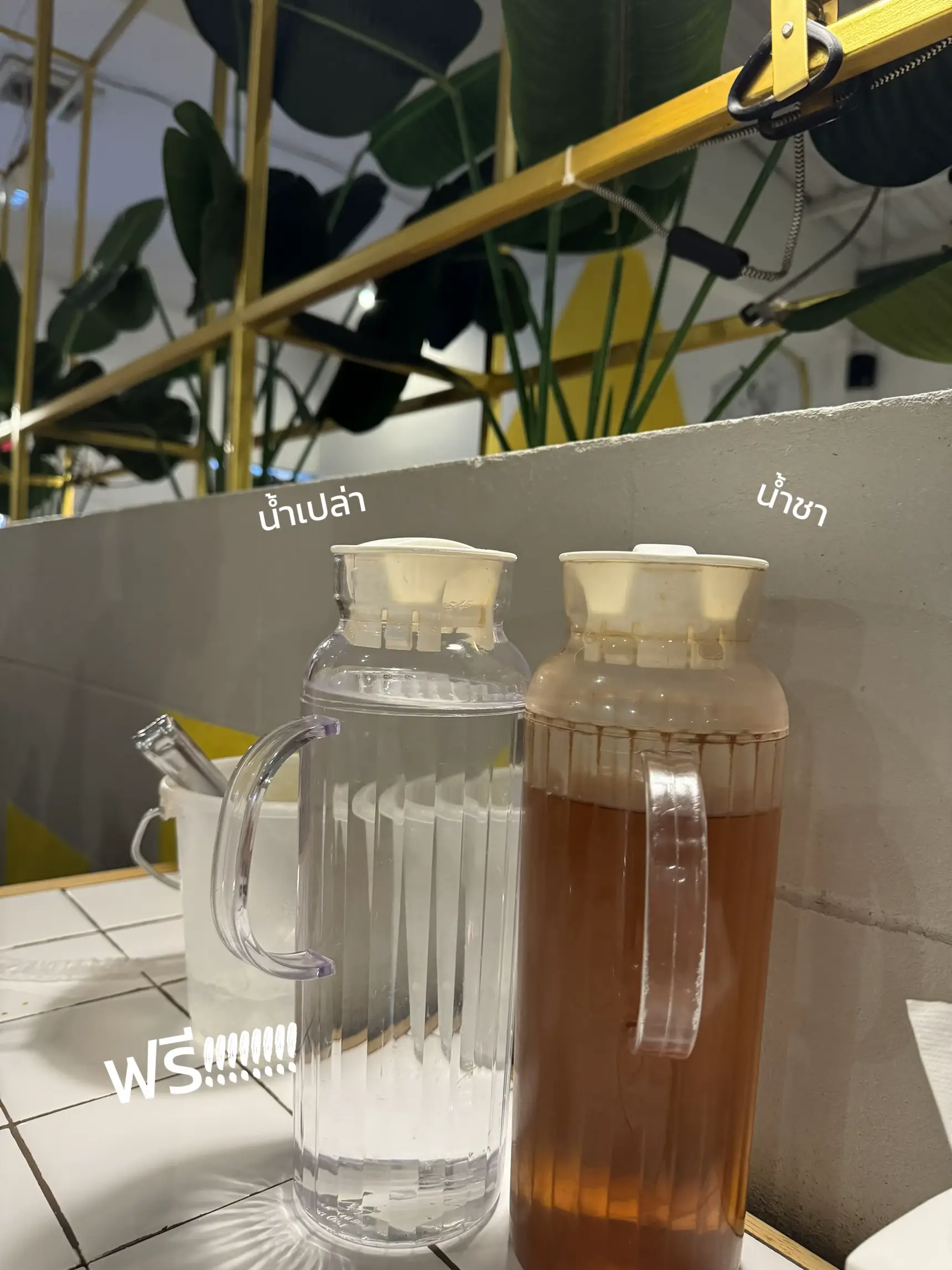 รีวิวชาบู Kinn's The Buta 🐷🥢 | แกลเลอรีที่โพสต์โดย นิก้าบอกต่ออิอิ | Lemon8