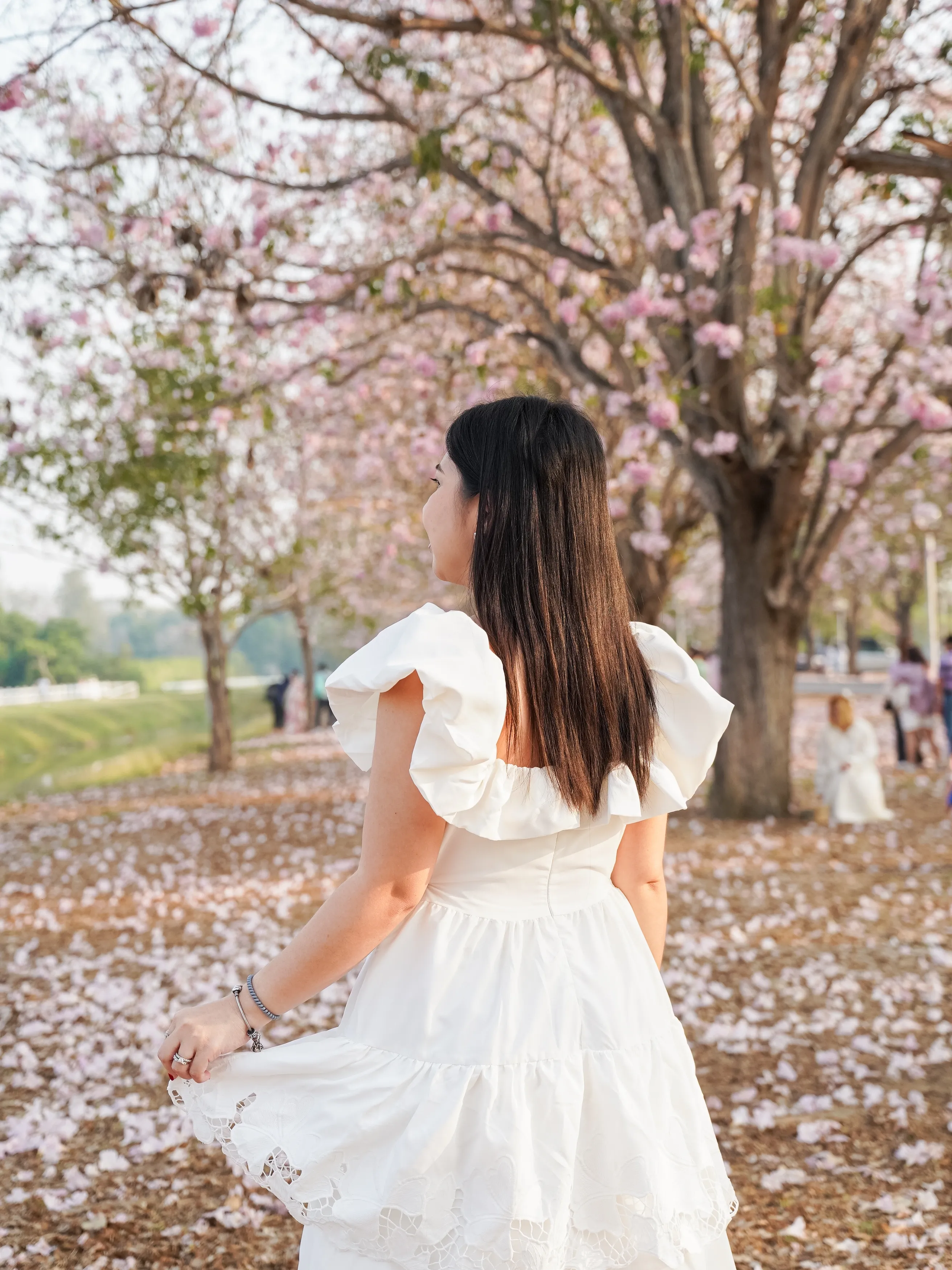 ชมพูพันธุ์ทิพย์รอบสุดท้ายปี 2568🌸🌸 | แกลเลอรีที่โพสต์โดย NattaLee ...
