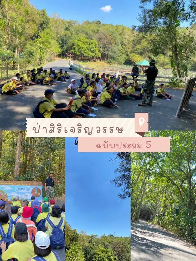 ฉบับประถม 5 | แกลเลอรีที่โพสต์โดย Saii Naruemon | Lemon8