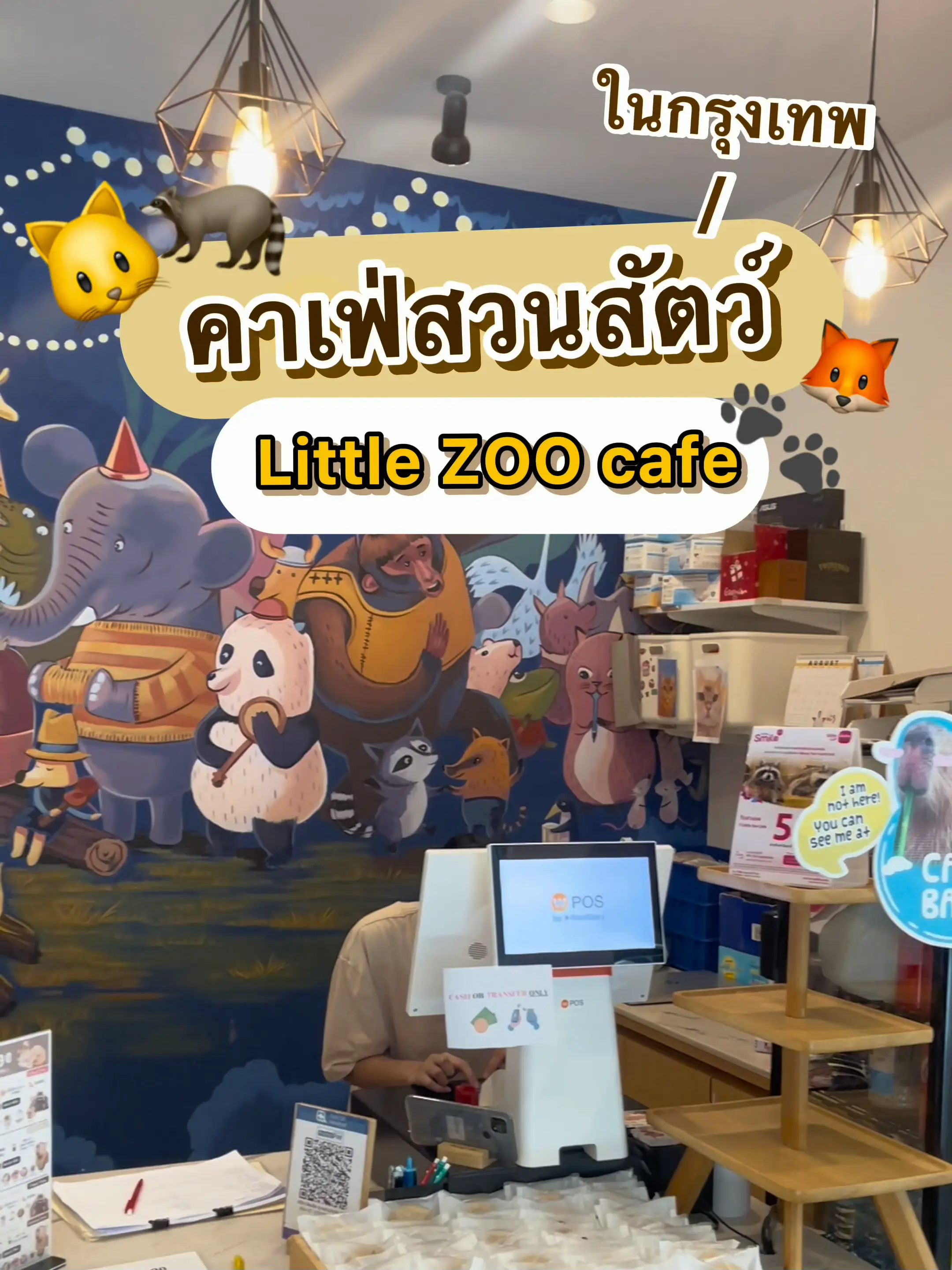 🦝 คาเฟ่สวนสัตว์ที่ Little ZOO cafe 🐶🦊 | วิดีโอที่เผยแพร่โดย ...
