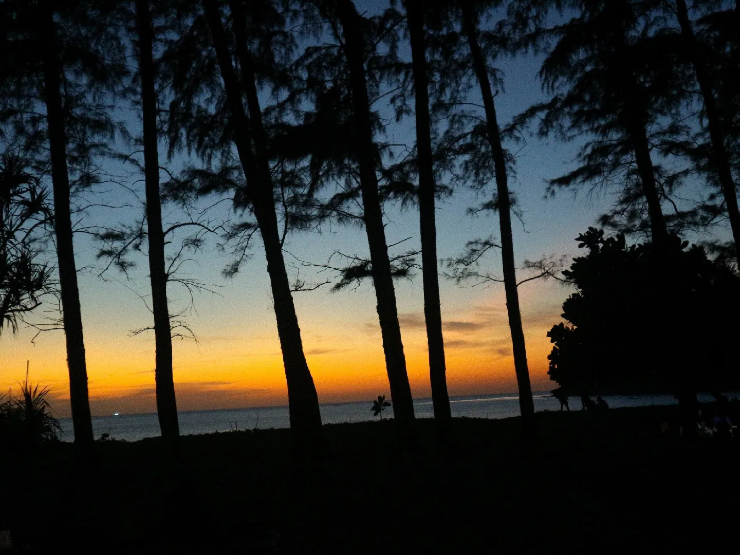Layan Phuket beach | Gallery posted by MY khla | Lemon8