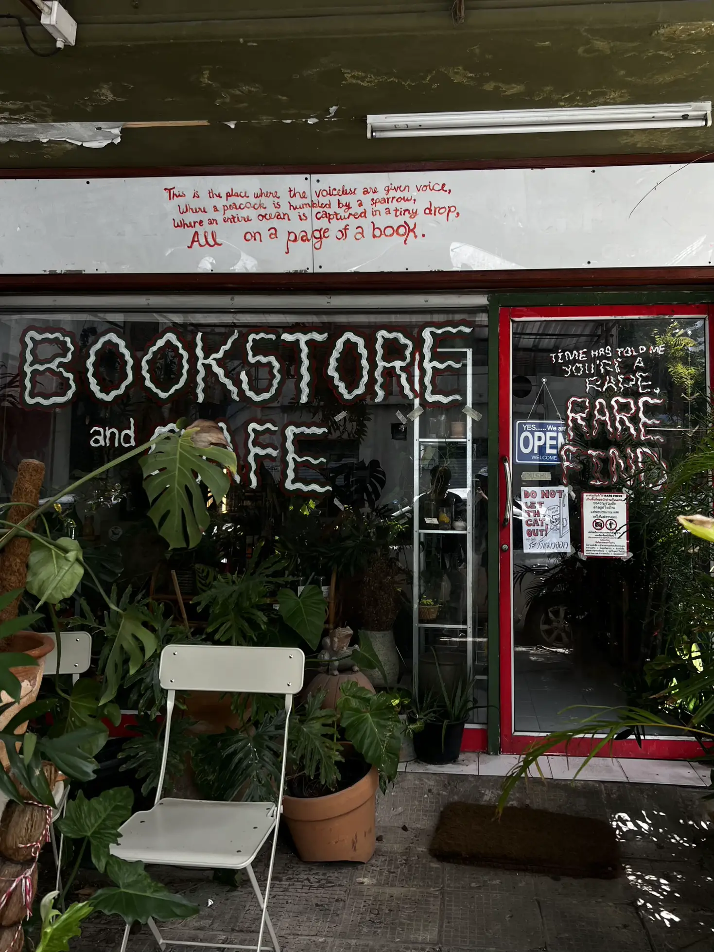 ร้านหนังสือเชียงใหม่ : Rare finds bookstore and cafe 🐈📖 | แกลเลอรีที่ ...