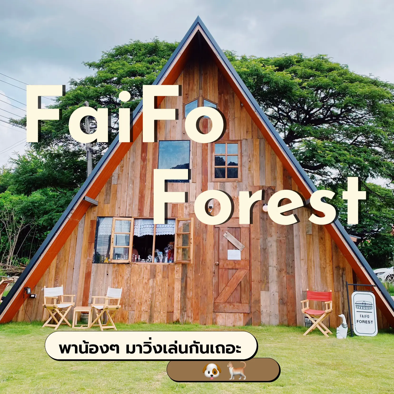 Faifo Forest cafe korat | แกลเลอรีที่โพสต์โดย ไปทั่วกับนกยูง | Lemon8