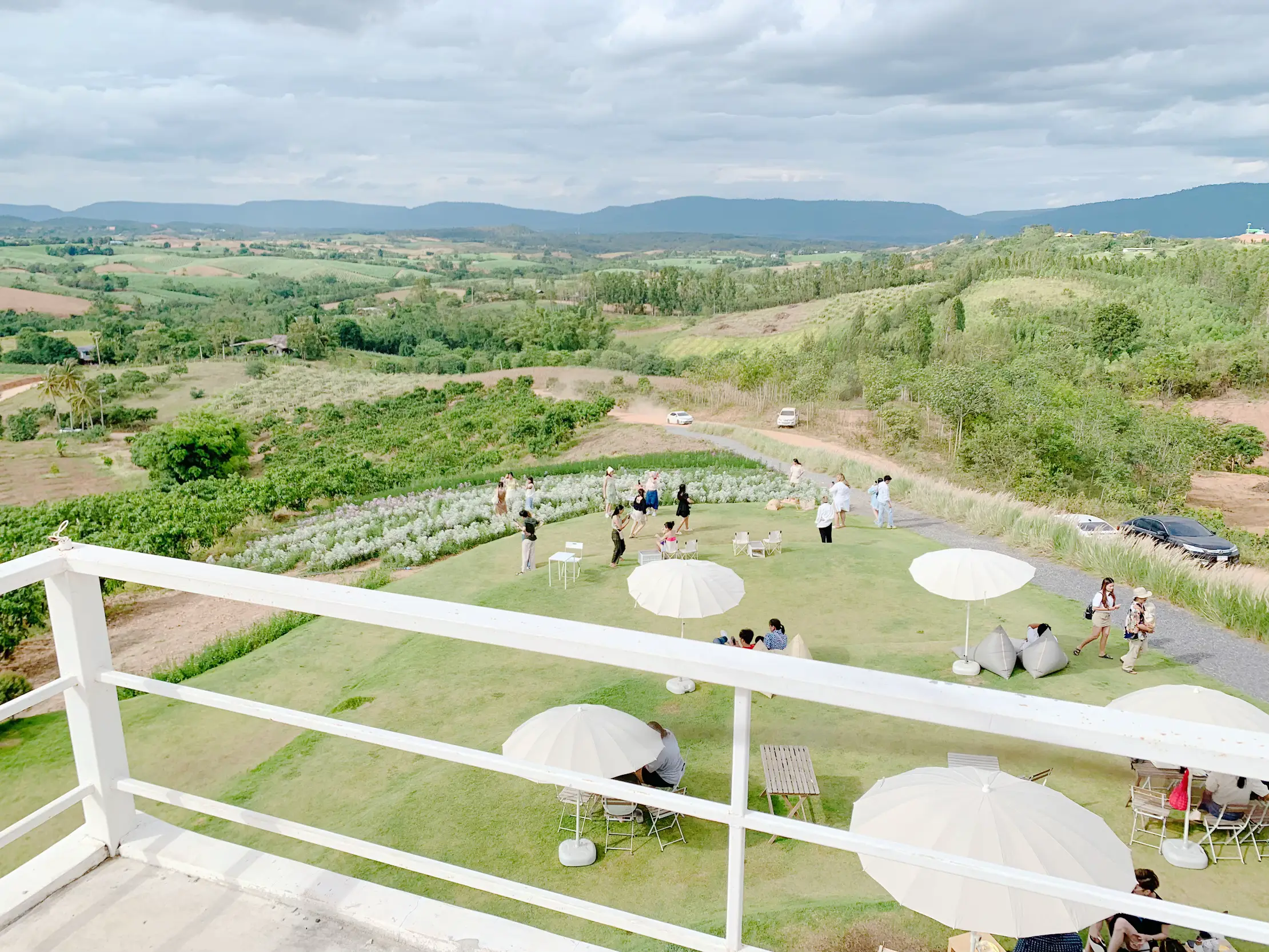 🌳dong house | คาเฟ่สุดฮิตวิวภูเขา ที่เขาใหญ่ | แกลเลอรีที่โพสต์โดย the ...