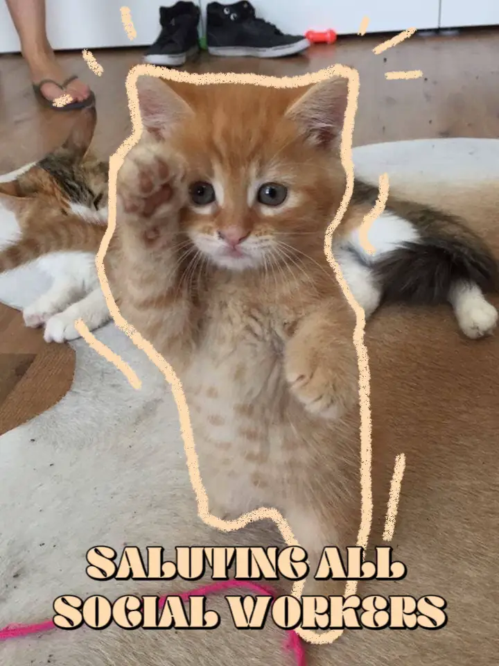 Thinking of taking social work? Think again | Gallery posted by sherise ...