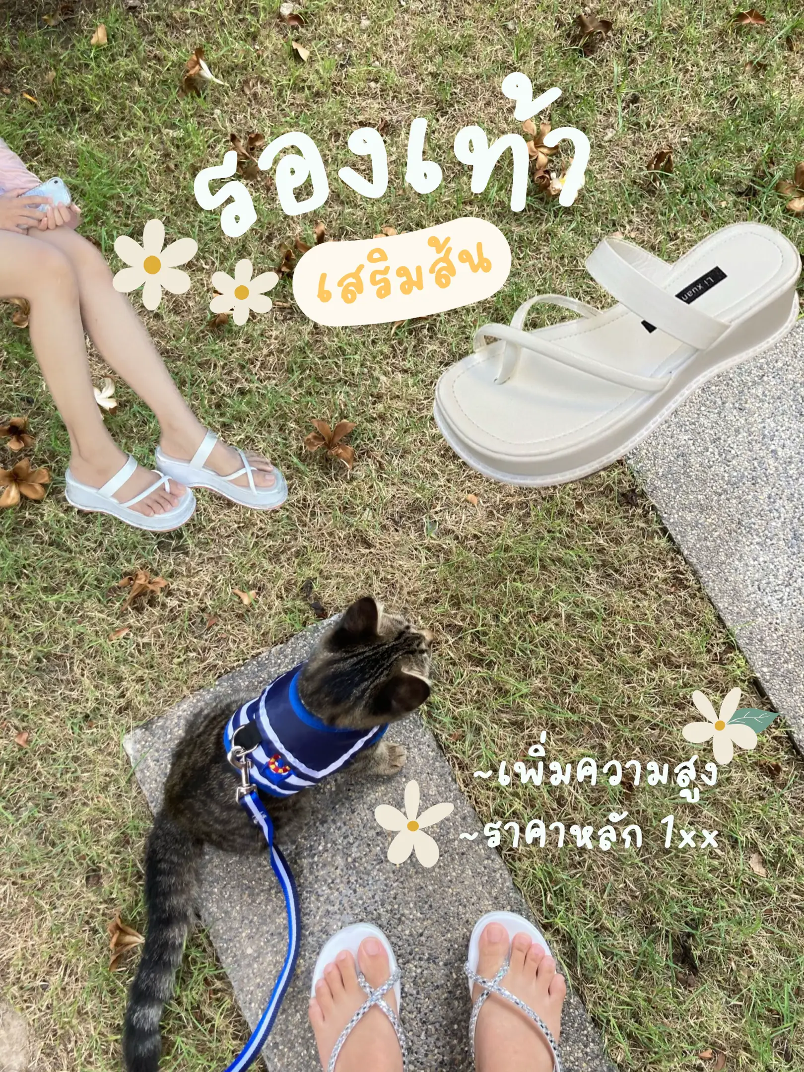 รองเท้าโกงความสูง 🥰 | แกลเลอรีที่โพสต์โดย Tonga_kxny | Lemon8