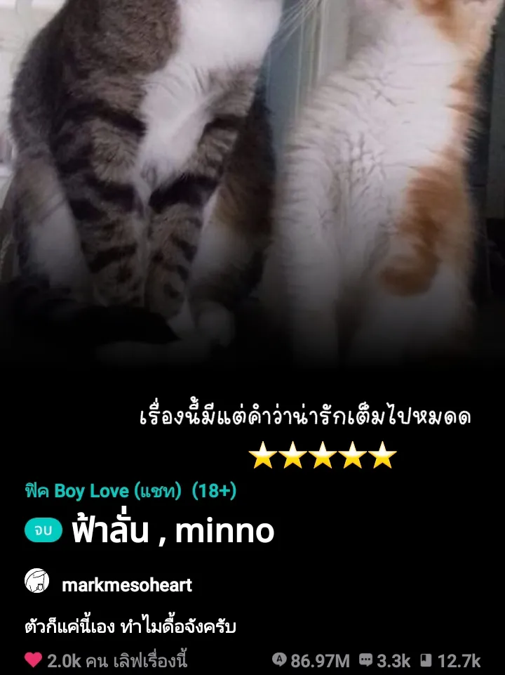 แนะนำฟิค MINNO | แกลเลอรีที่โพสต์โดย มะอ้าครีวิวว🕷 | Lemon8