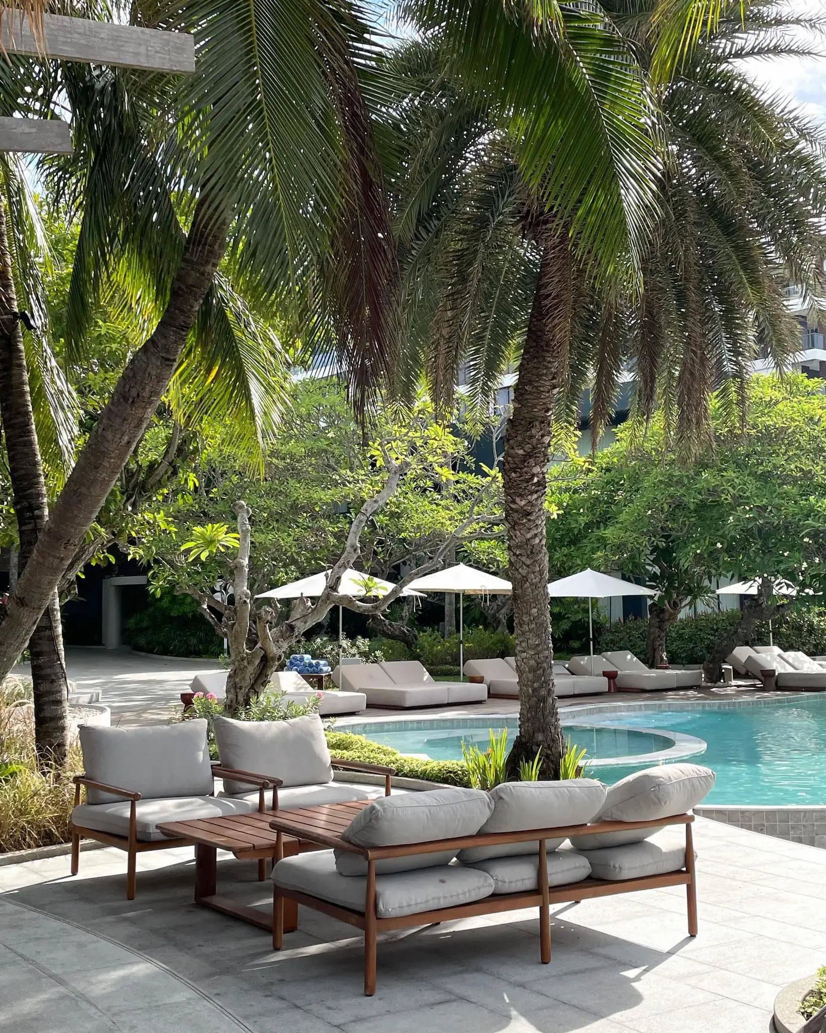 พาน้องหมาเที่ยวทะเลกันค่าา 🐶🌊 | แกลเลอรีที่โพสต์โดย Topfy Moreya | Lemon8