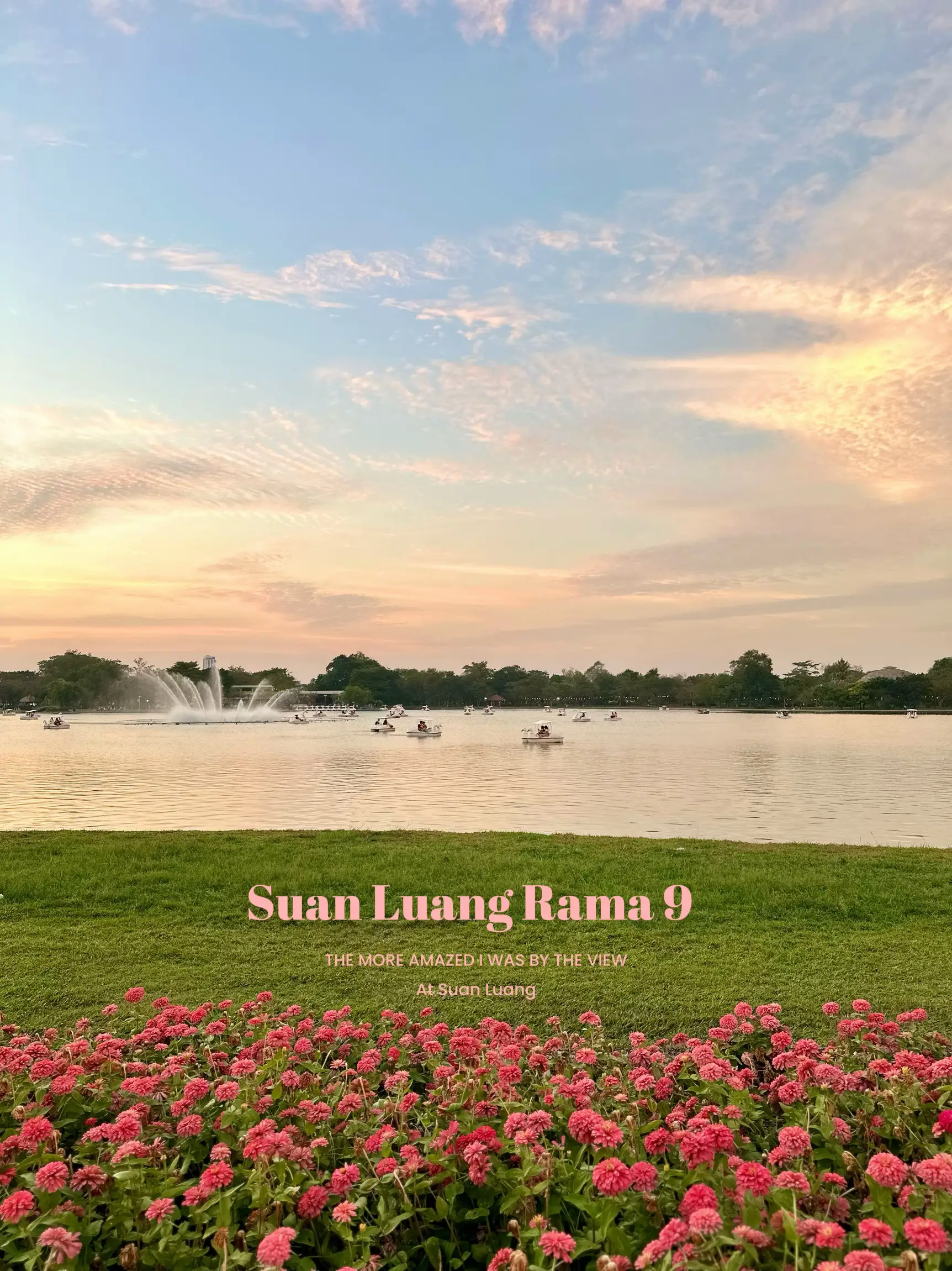 🌳 ‘ สวนหลวง s.9 'Suan Luang Rama 9 ( EP.3 )🌳 | แกลเลอรีที่โพสต์โดย 𝐦𝐚𝐲 ...