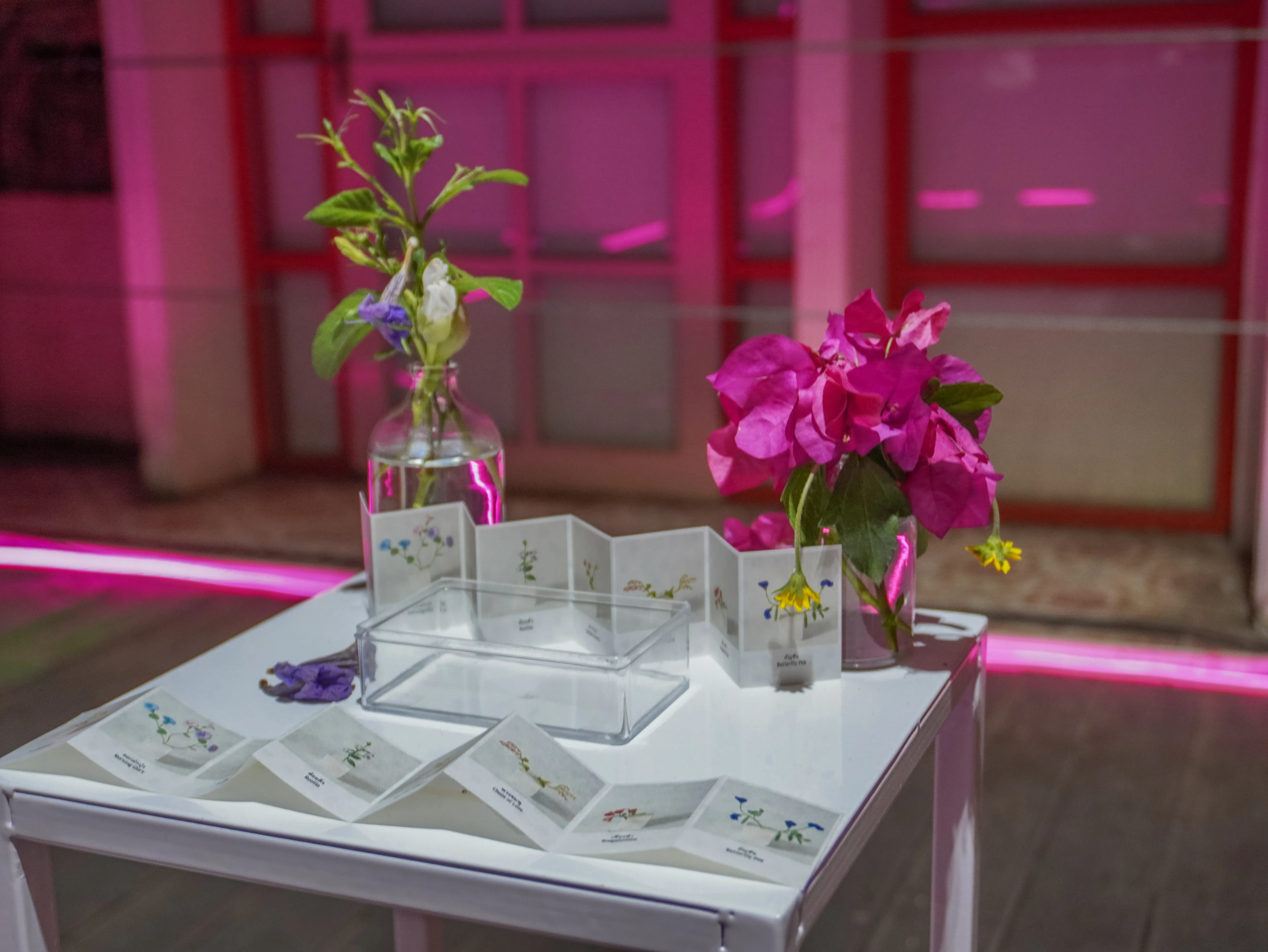 ปักมุดงานไฟย่านปากคลองตลาด BKKDW2024 กัน | แกลเลอรีที่โพสต์โดย Insomnia Scene | Lemon8