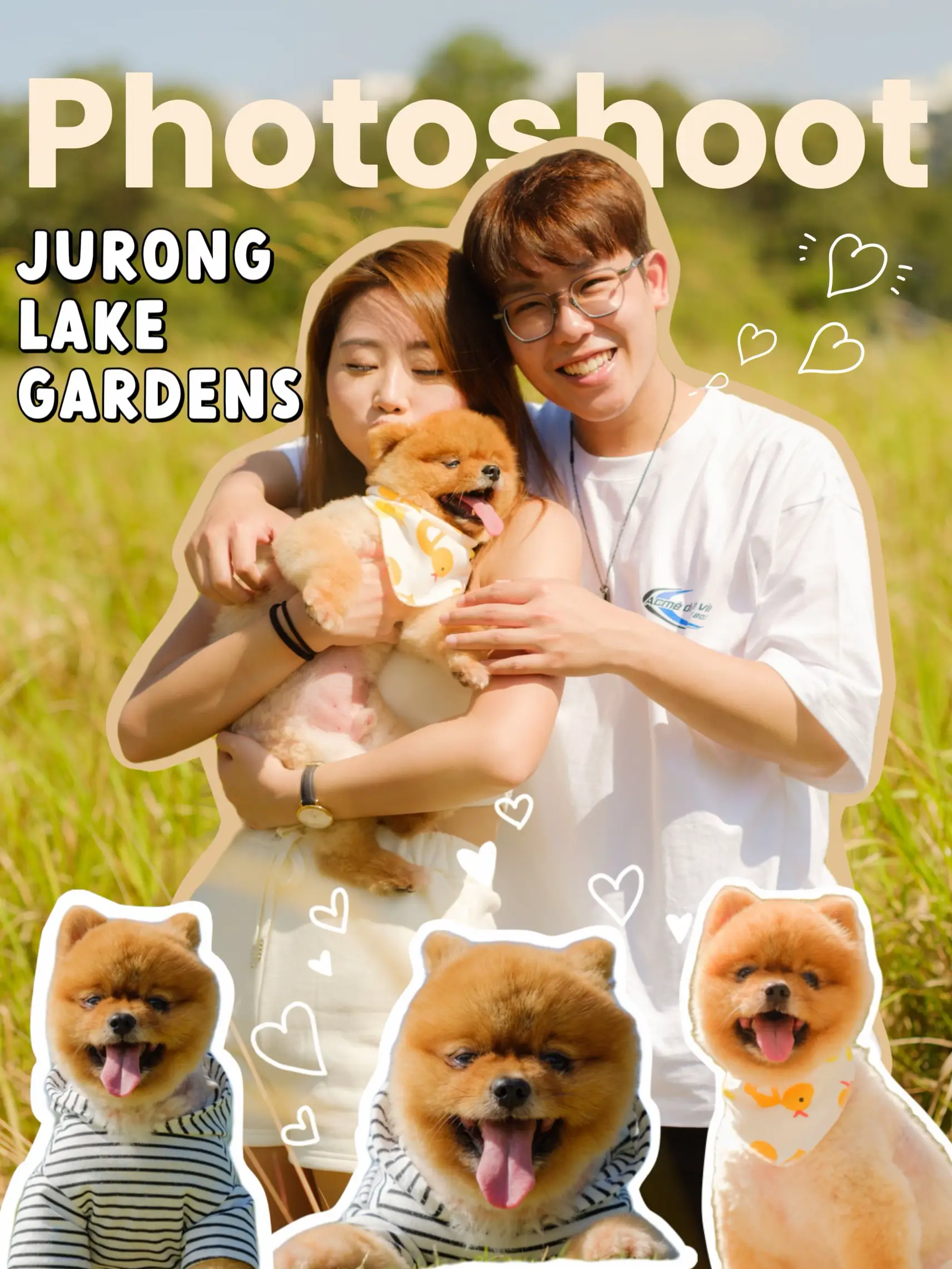 Your sign to take photos with your FURBALL here! 📍 | Gallery posted by ...