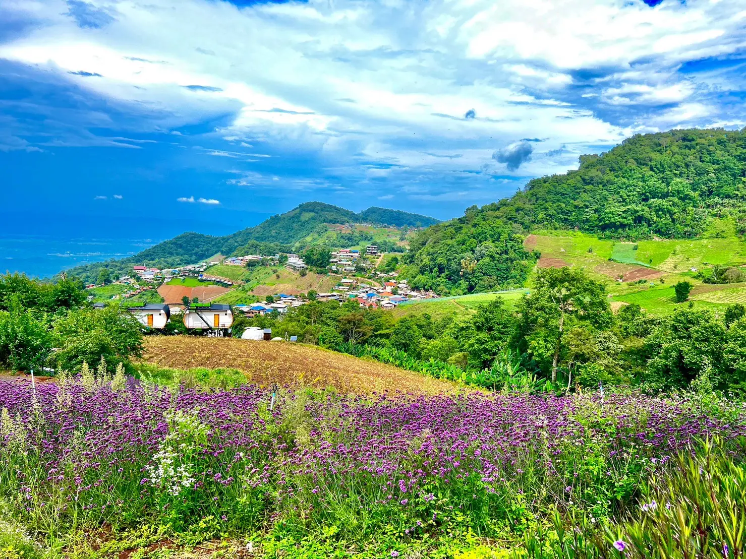 🏕️บ้านภูหมอก ม่อนแจ่ม🏕️ | แกลเลอรีที่โพสต์โดย PlaThong | Lemon8