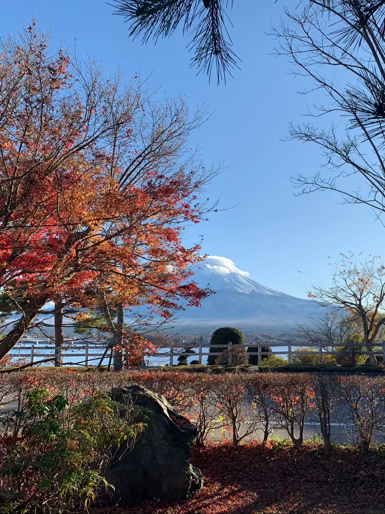 〰️ 🗻 One day in Tokyo ep.5 🍡 fuji san 🍁 | แกลเลอรีที่โพสต์โดย i_____ink | Lemon8