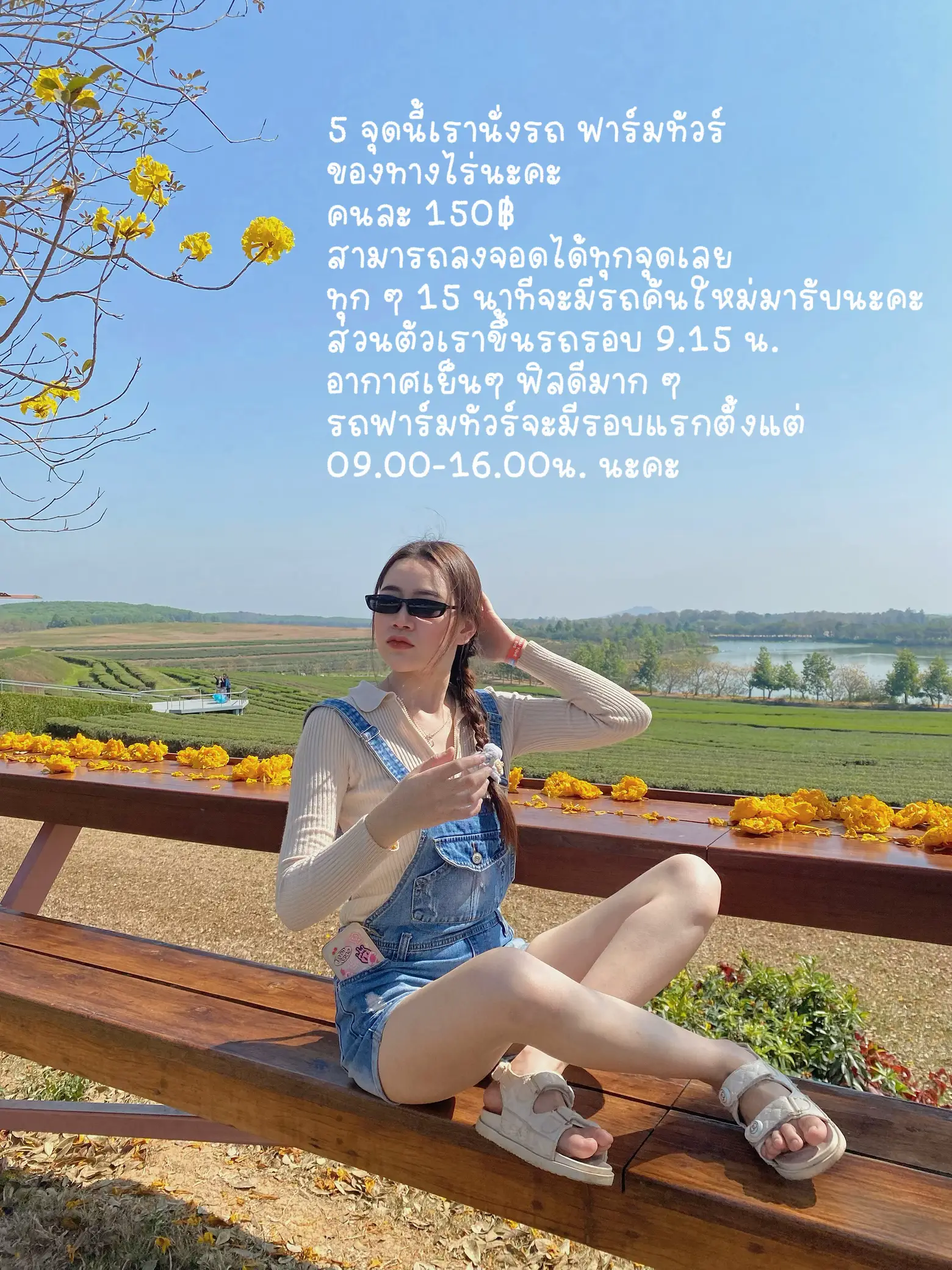 Singha Park Chiangrai | แกลเลอรีที่โพสต์โดย ᶜʰᵃ’ ˡⁱ ♡ | Lemon8