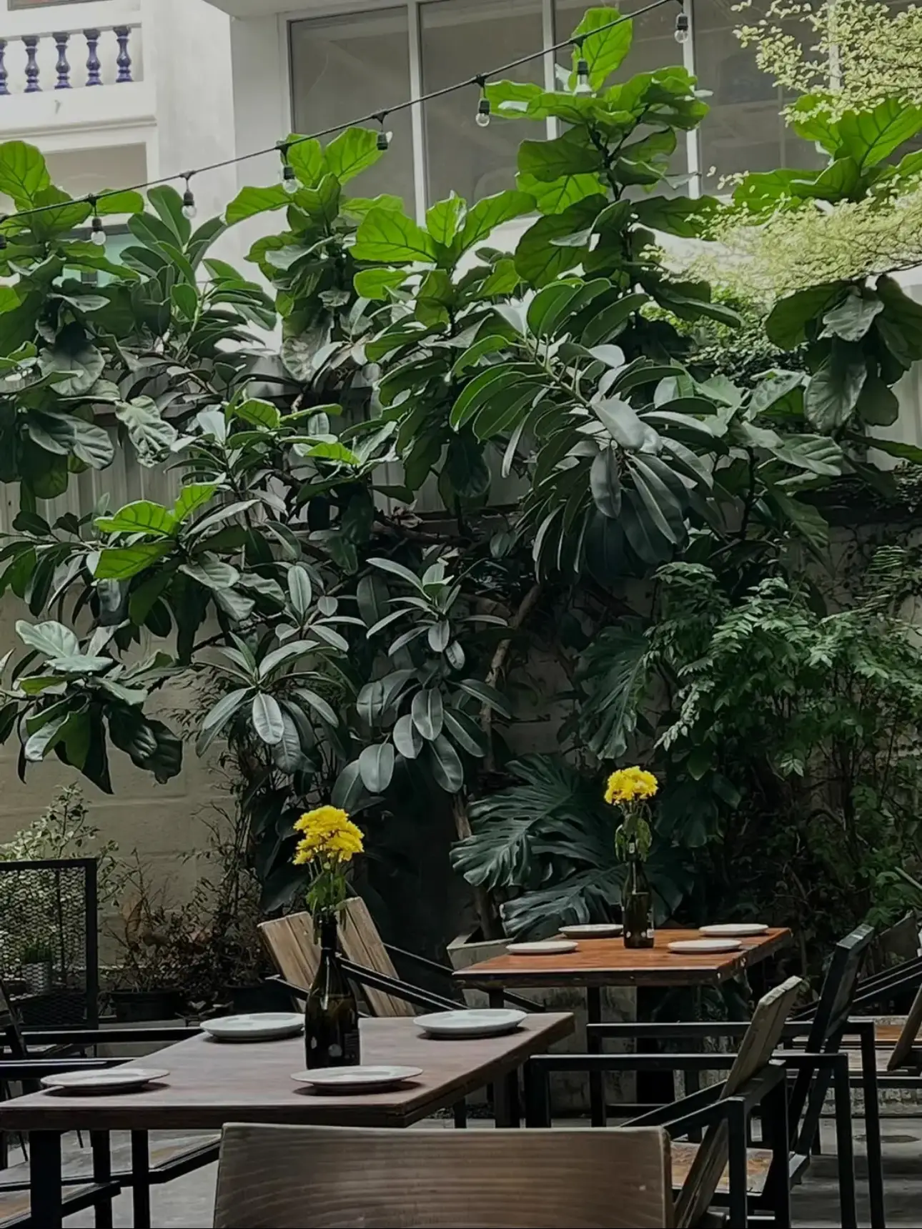 PASTA AMA ร้านพาสต้าสไตล์โฮมมี่ bts Ratchathewi🍝🥗 | แกลเลอรีที่โพสต์โดย ...