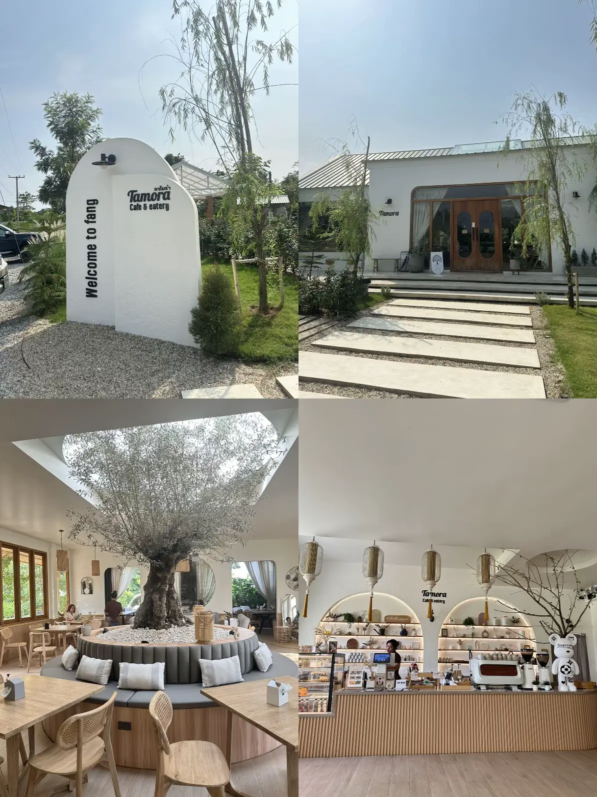 Tamora cafe ฝาง เชียงใหม่ 🍳🥐🍦 | แกลเลอรีที่โพสต์โดย Cakee_story | Lemon8