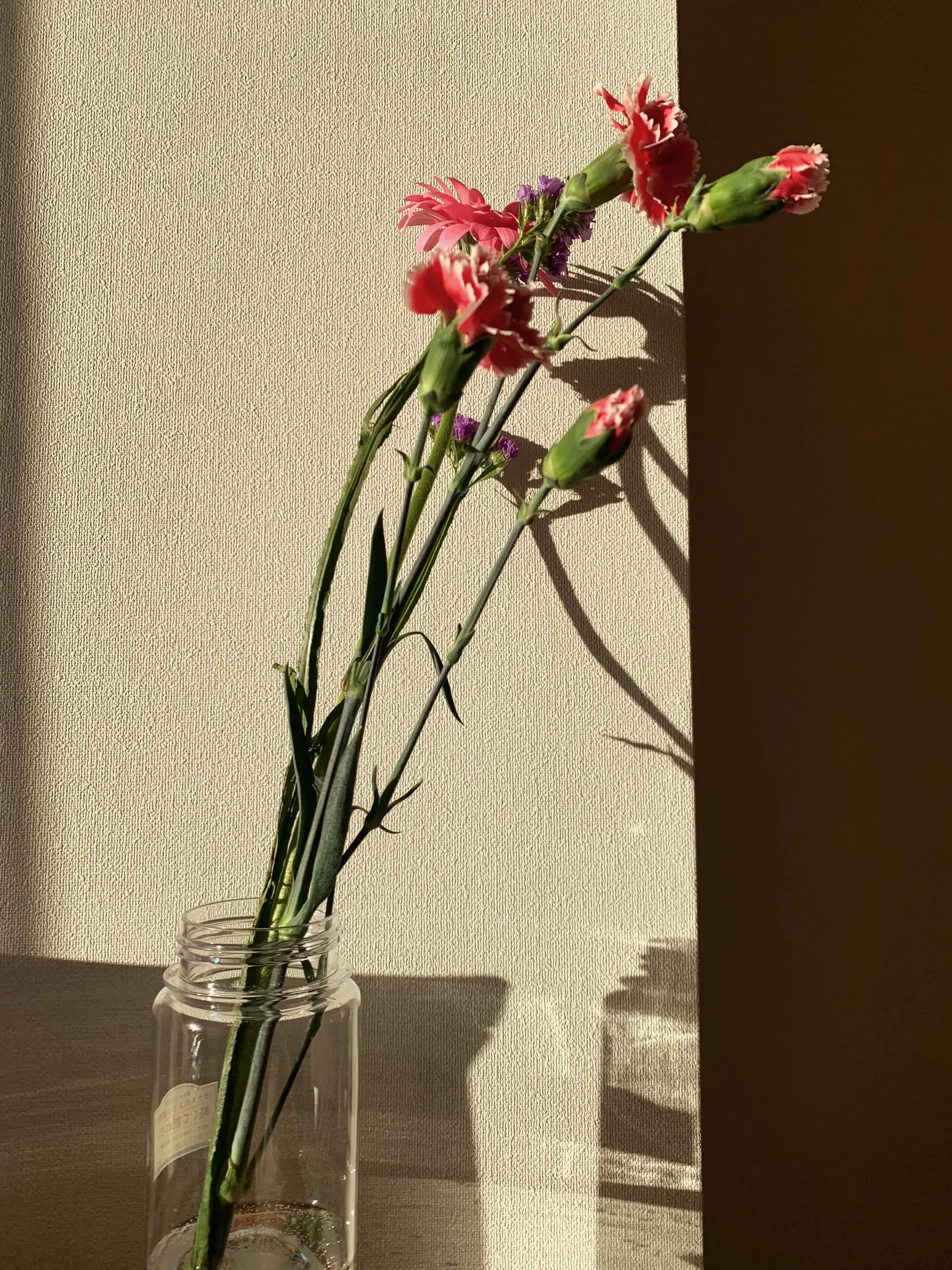 รีวิวการรักษา Pre-stage มะเร็งปากมดลูก กับ รพ. ที่ญี่ปุ่น 🇯🇵 | แกลเลอรี ...