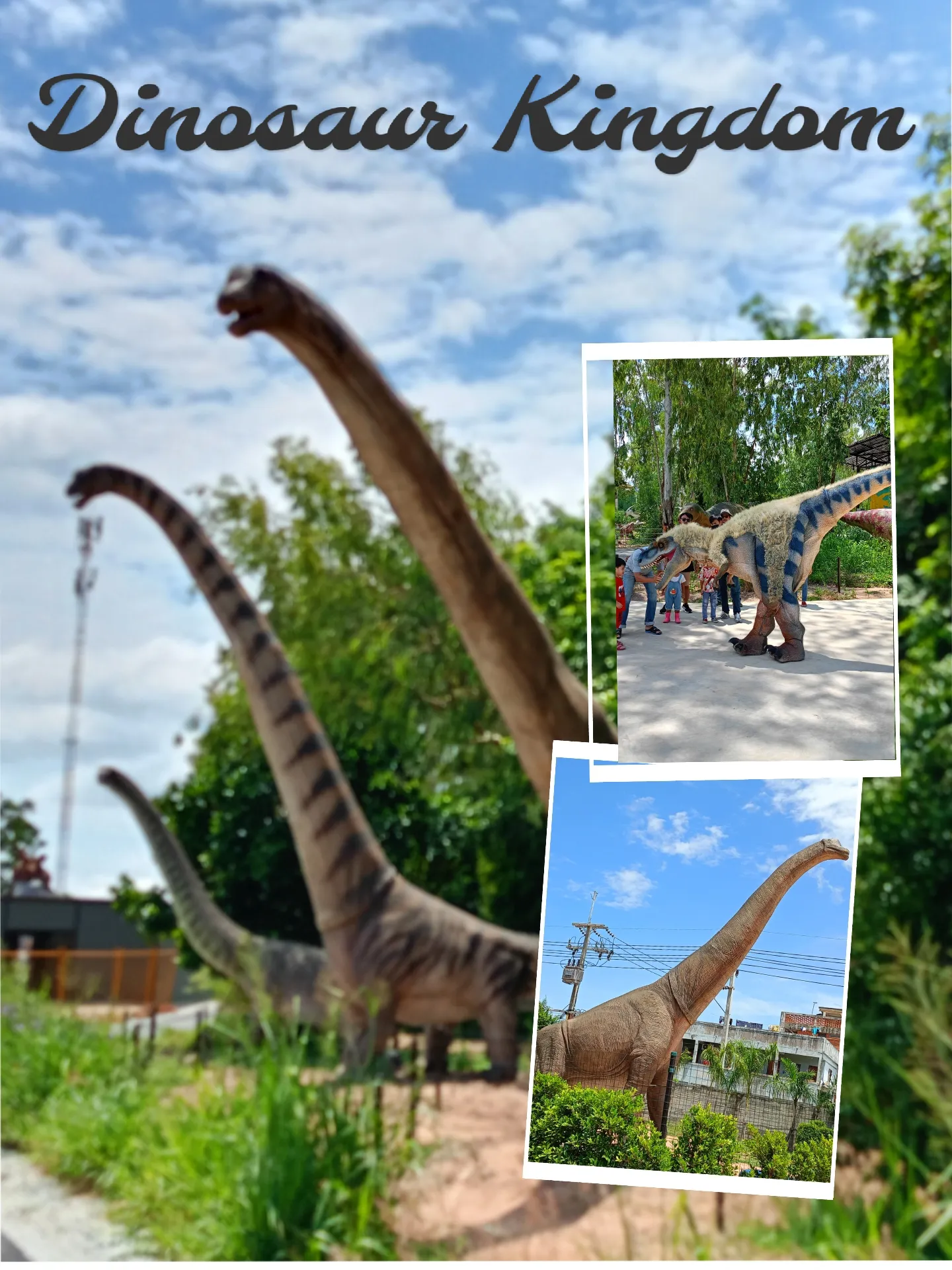 Dinosaur Kingdom | แกลเลอรีที่โพสต์โดย Kate20 | Lemon8