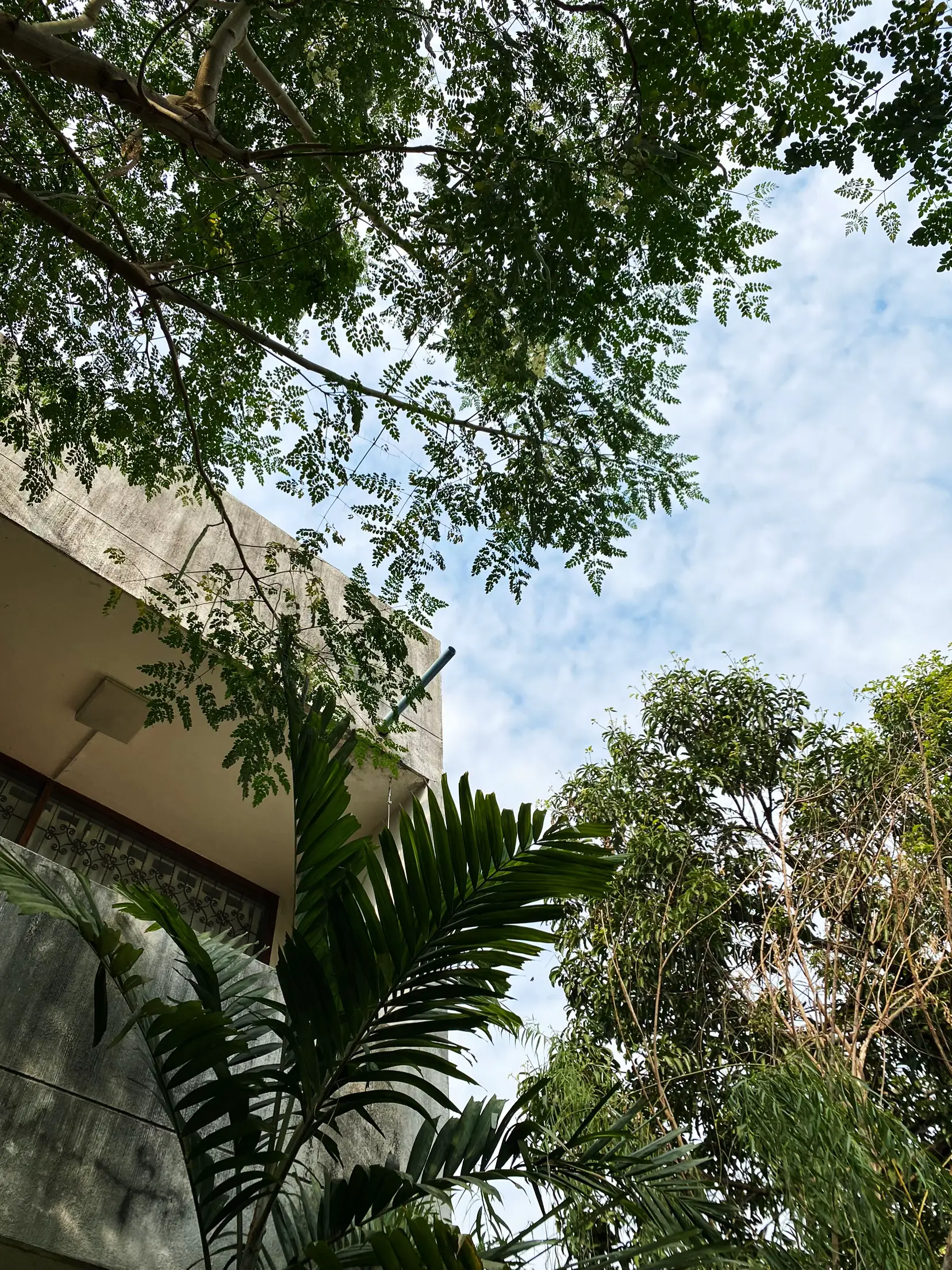 ความสุข แบบง่าย ๆ คาเฟ่ย่านห้วยขวาง | แกลเลอรีที่โพสต์โดย Ramida.Diary | Lemon8