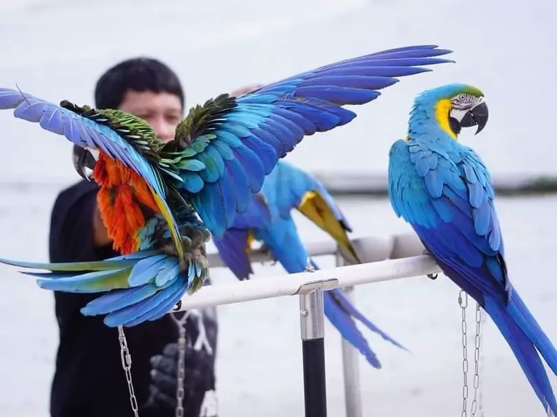 เพื่อนร่วมบินทริปนี้ | แกลเลอรีที่โพสต์โดย Freelife/time | Lemon8