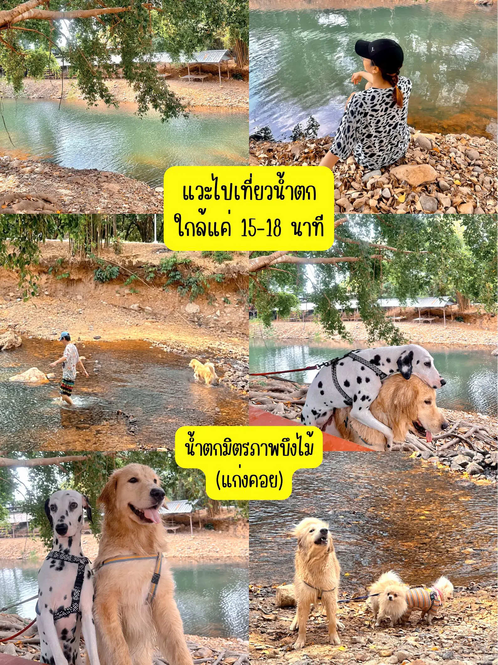 เก็บเป๋าแล้วโก EP.9 : Hoshi Hidden Camp [สระบุรี] 🐶 | แกลเลอรีที่โพสต์ ...
