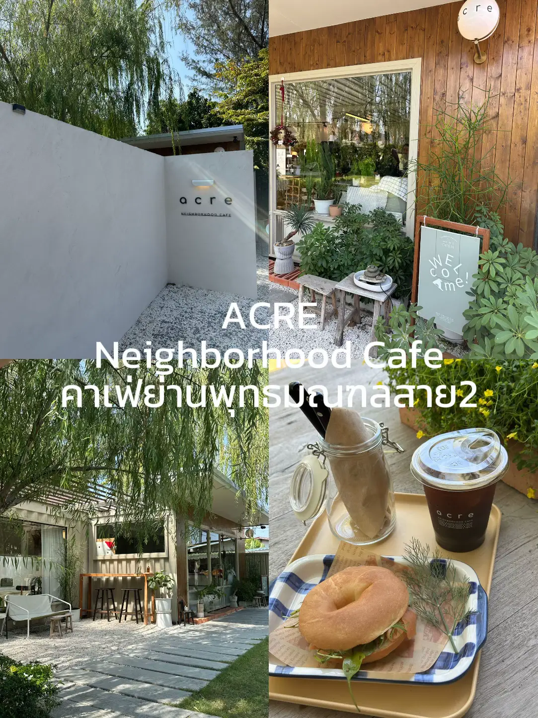 ACRE คาเฟ่สวย บรรยากาศดี สาย2 | แกลเลอรีที่โพสต์โดย Fon Miangho | Lemon8