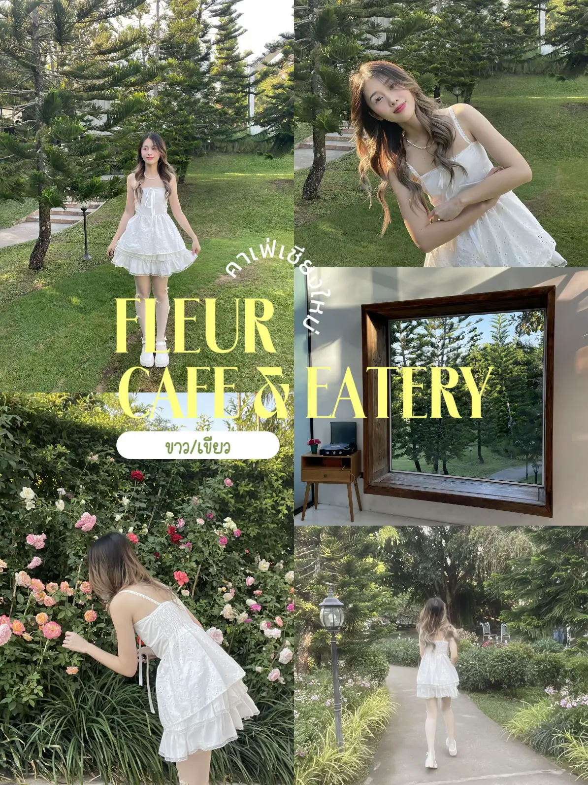 คาเฟ่เชียงใหม่ FLEUR CAFE & EATERY 🌳 | แกลเลอรีที่โพสต์โดย Pupamanthira | Lemon8