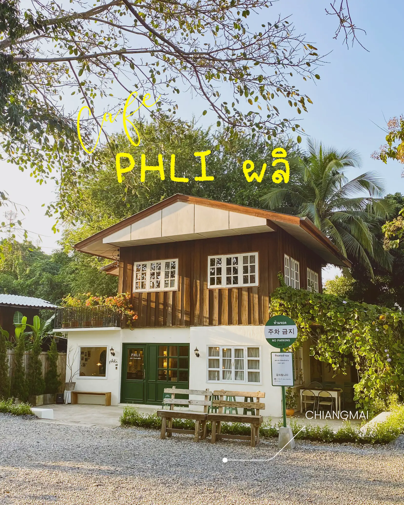 🌱 PHLI ผลิ @เชียงใหม่ | แกลเลอรีที่โพสต์โดย Rosewriter | Lemon8