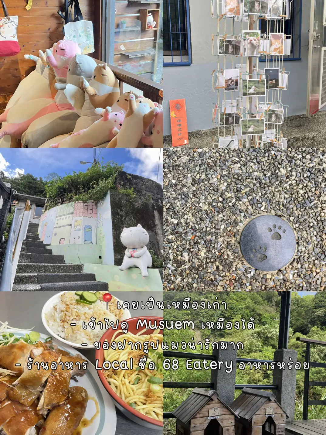 ทาสแมวต้องมา Houtong Cat Village ไต้หวัน🇹🇼 Ep.2 | แกลเลอรีที่โพสต์โดย ...