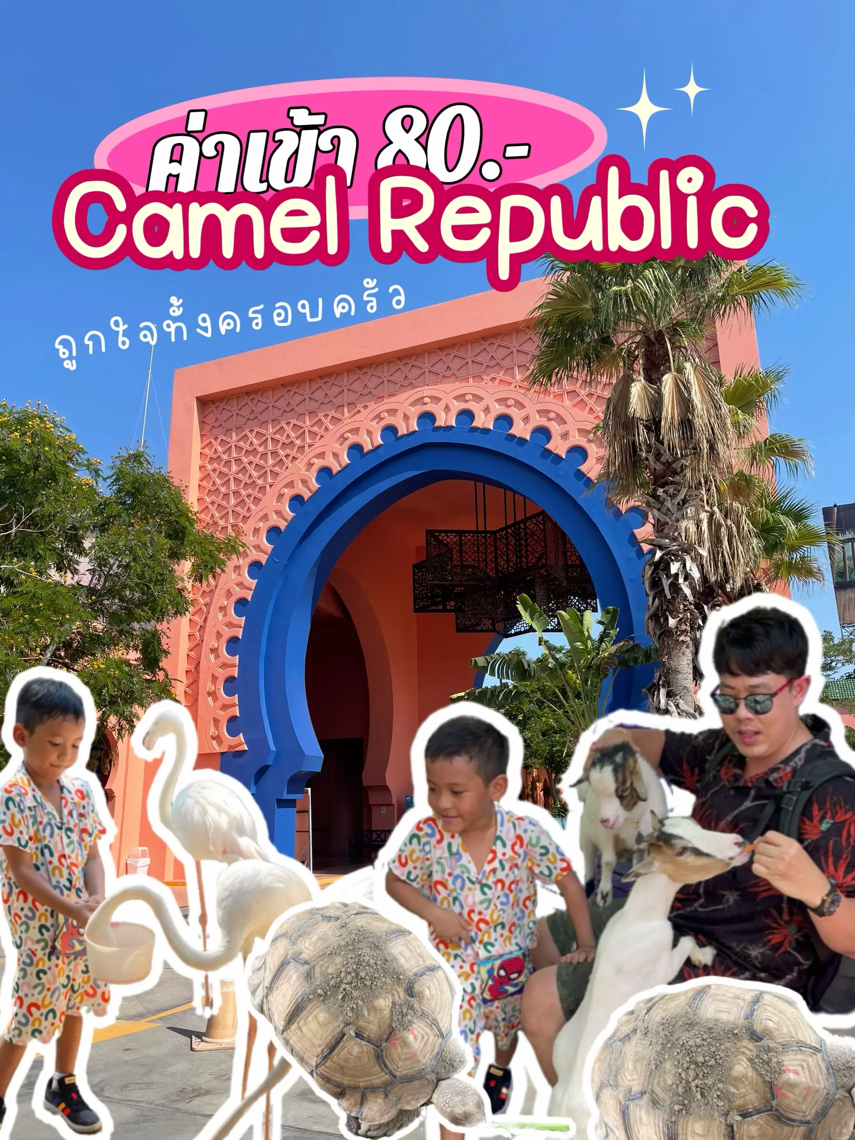 สวนอูฐ 🐪 Camel Republic ถูก สะอาด เหมาะกับครอบครัว | แกลเลอรีที่โพสต์โดย Nattieiz | Lemon8