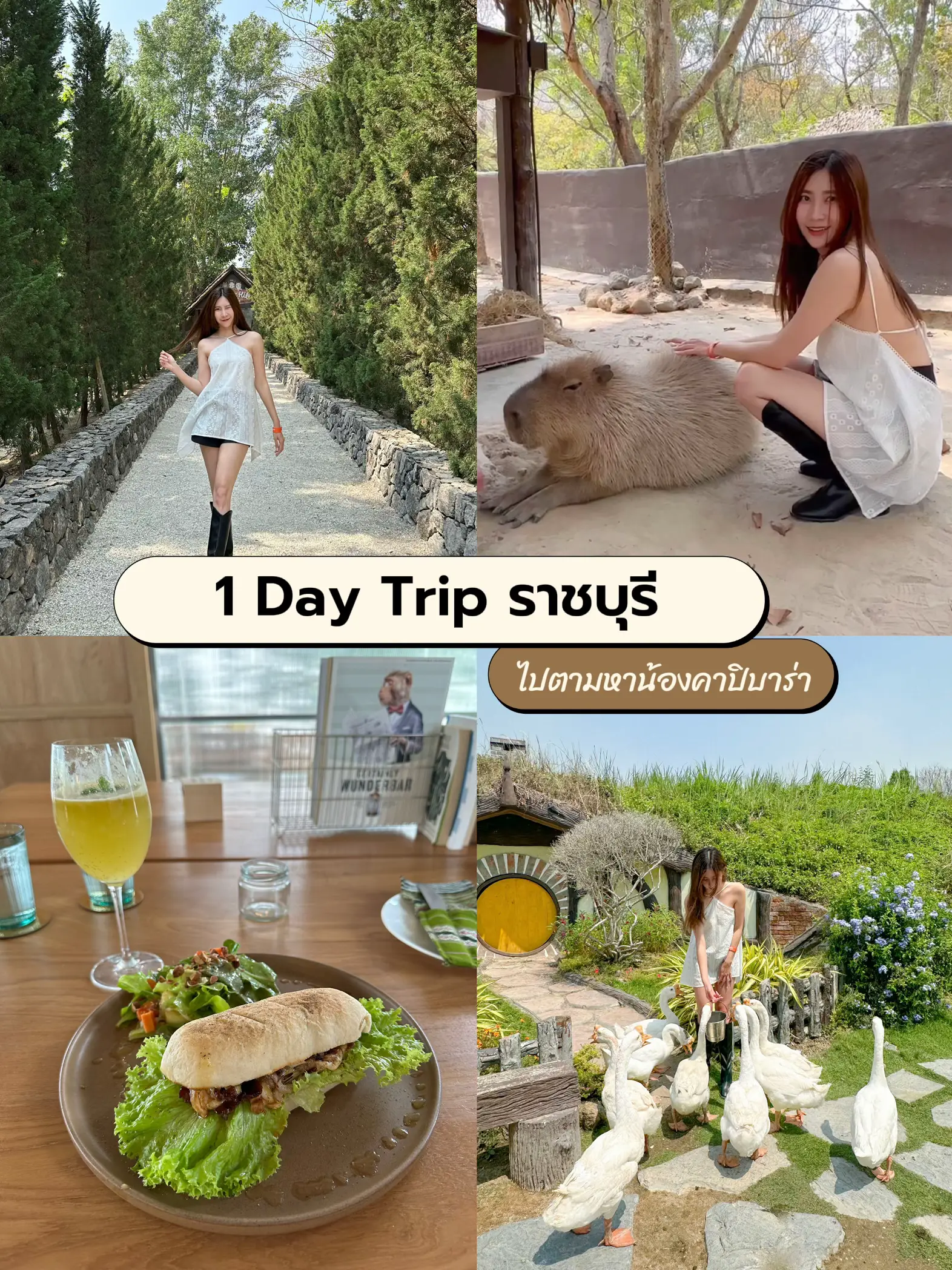 1 Day trip นครปฐม-ราชบุรี | แกลเลอรีที่โพสต์โดย หนิงอันรีวิว | Lemon8
