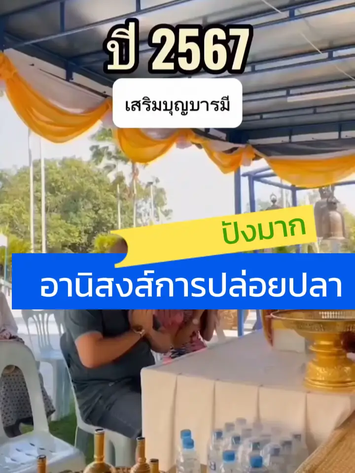 อานิสงส์ของการปล่อยปลา | วิดีโอที่เผยแพร่โดย Thitikan Thirap | Lemon8