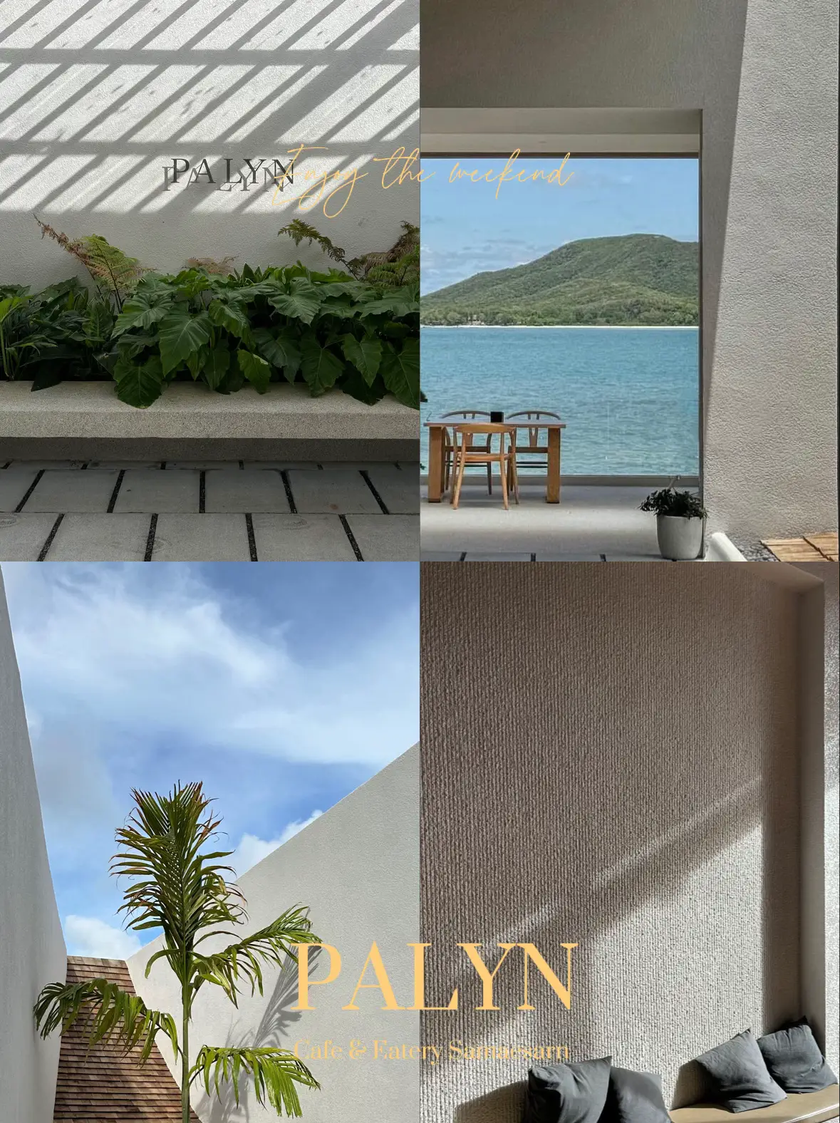 Palyn Cafe คาเฟ่+ร้านอาหารชลบุรี ติดทะเล มุมถ่ายรูปเยอะ | แกลเลอรีที่ ...