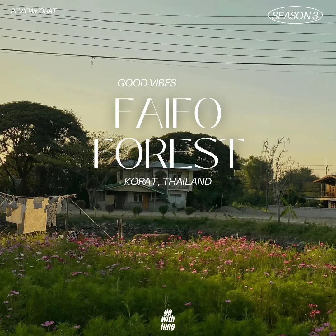 Faifo Forest • korat 🌸📸 #ไฟโฟ่ส่งท้ายซีซั่นสาม | แกลเลอรีที่โพสต์โดย เพจไปกับลุง | Lemon8
