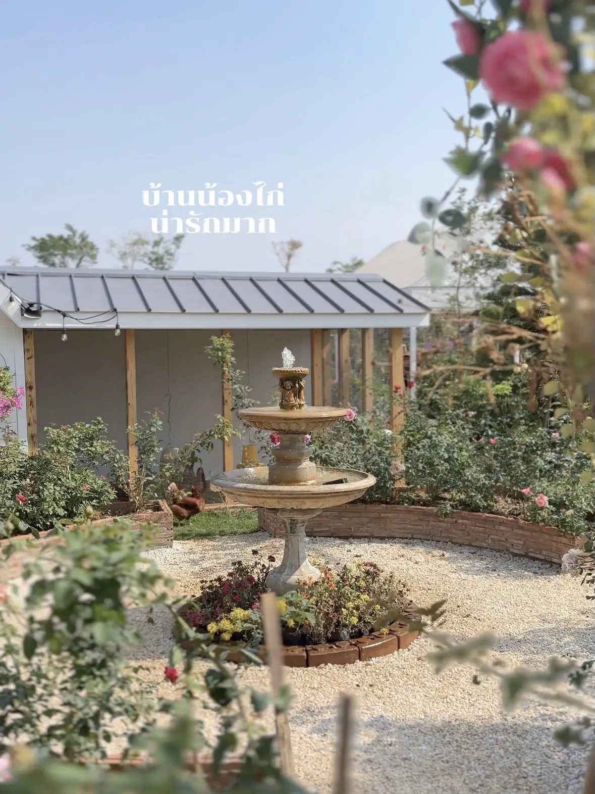 Audrey hobby farm สวยจริงไหม 💖💐 | แกลเลอรีที่โพสต์โดย Looknut story | Lemon8