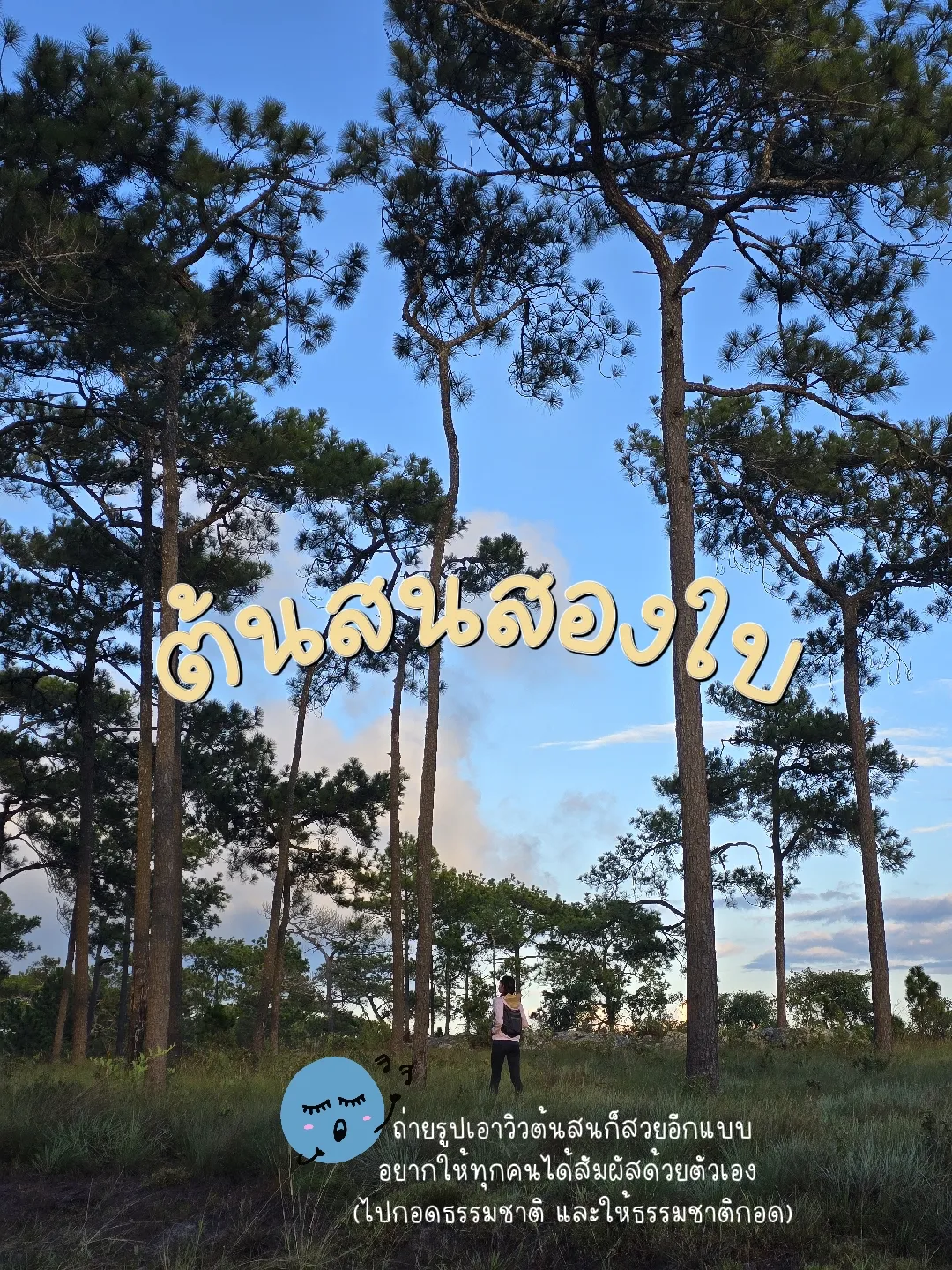 ภูกระดึง2024 สำหรับสายรักธรรมชาติ | แกลเลอรีที่โพสต์โดย Wararat | Lemon8