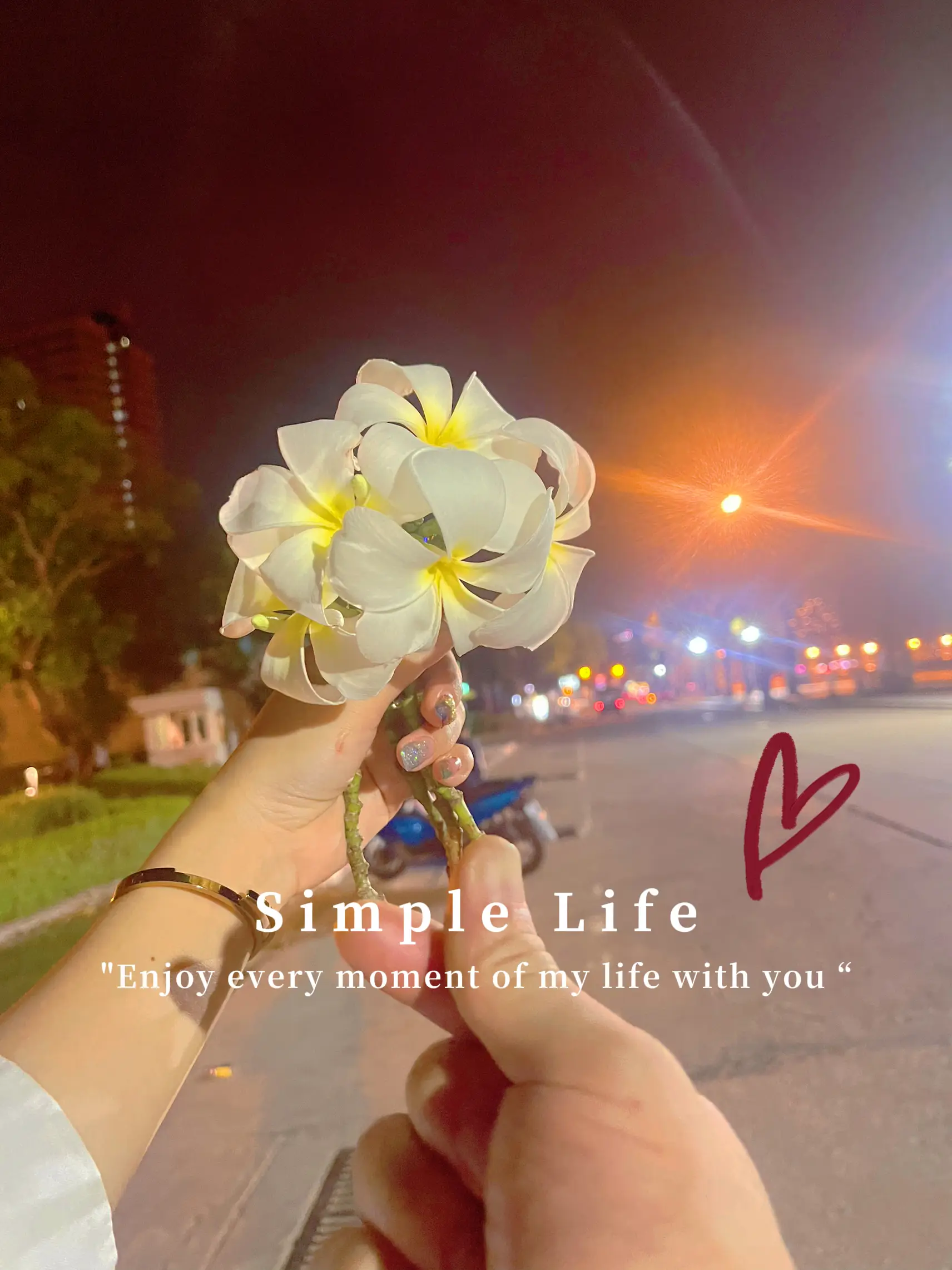 Simple Life | แกลเลอรีที่โพสต์โดย Matngammeung Pu | Lemon8