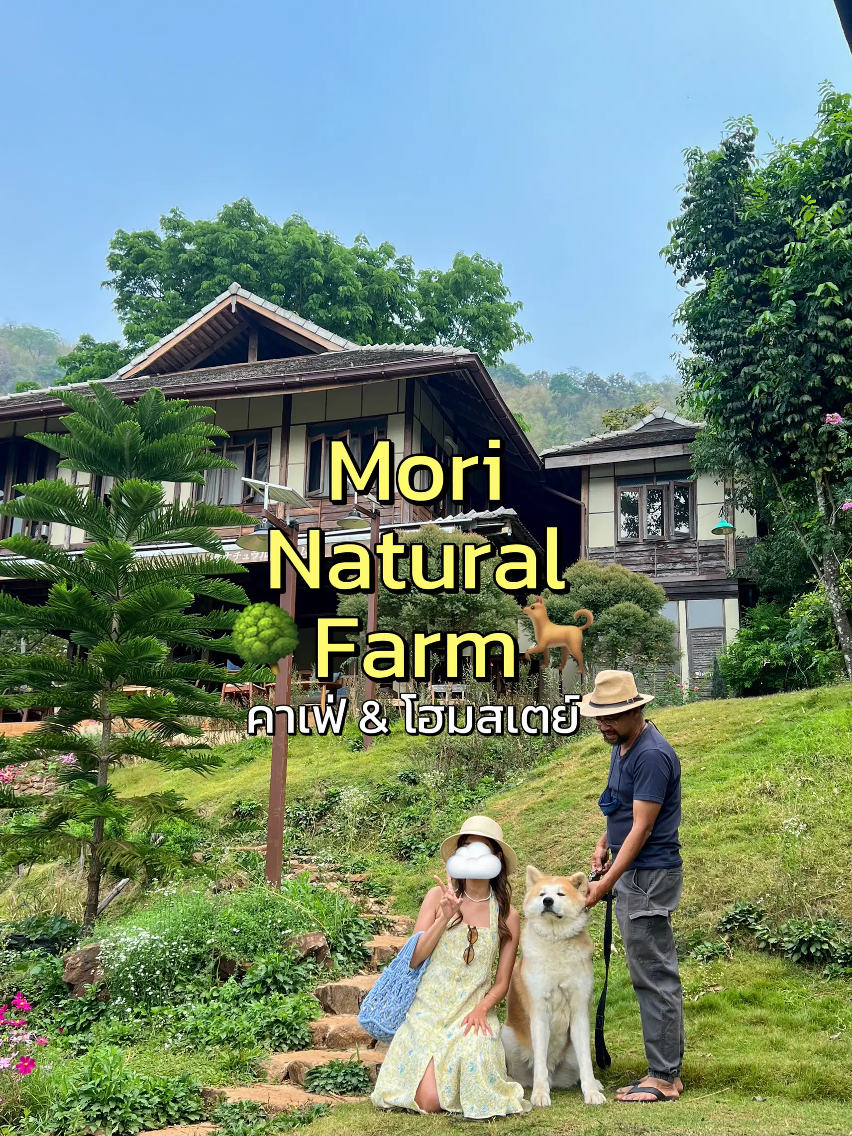 Mori Natural Farm คาเฟ่สุดโฮมมี่เชียงใหม่ 🏠🐕☁️ | แกลเลอรีที่โพสต์โดย mameaw | Lemon8